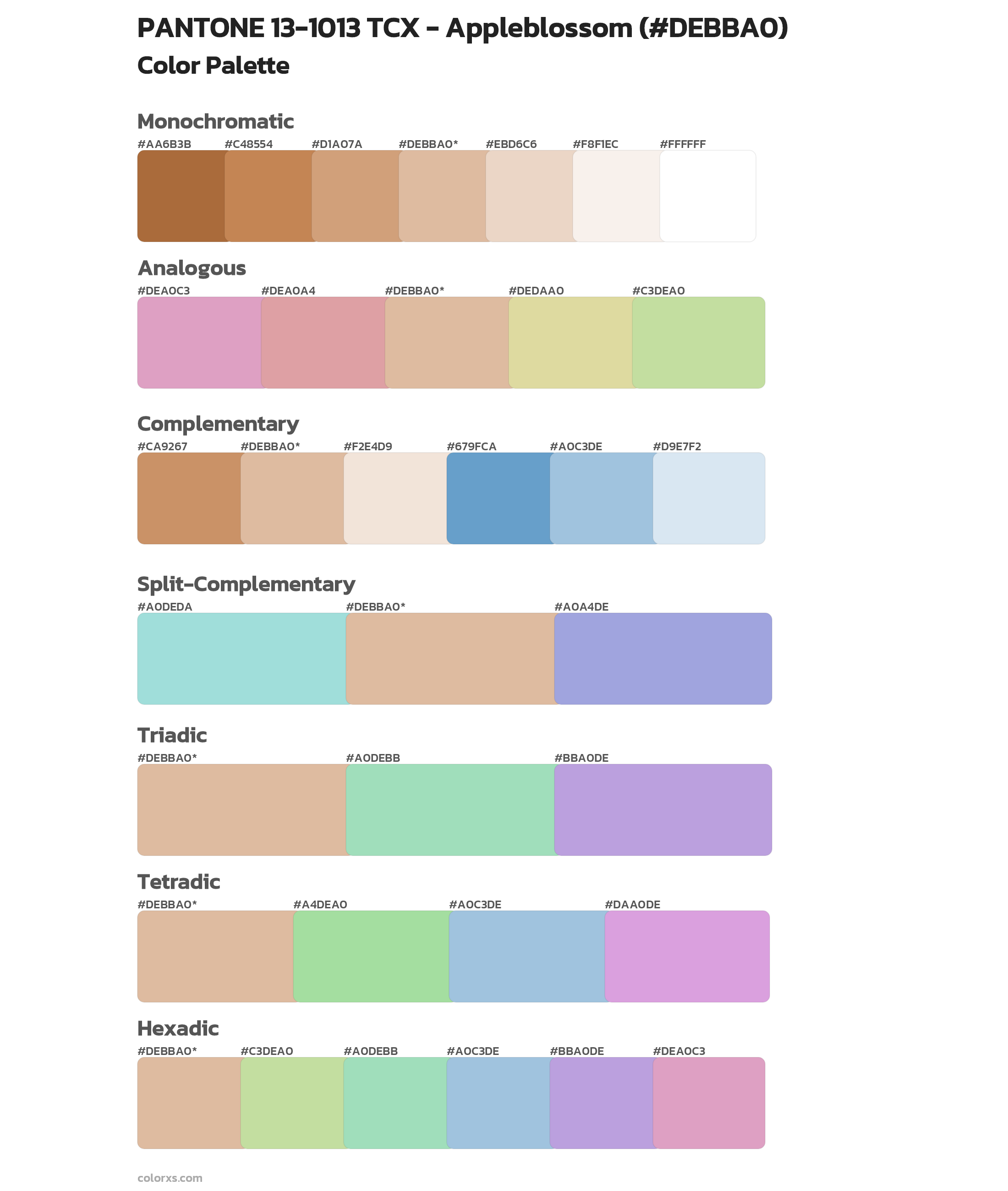 PANTONE 13-1013 TCX - Appleblossom color palettes - colorxs.com