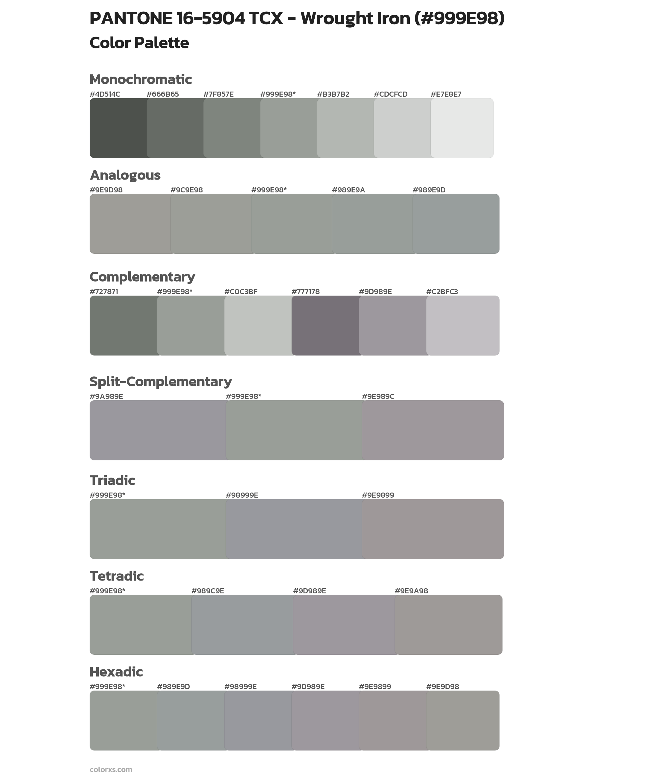 PANTONE 16-5904 TCX - Wrought Iron color palettes - colorxs.com