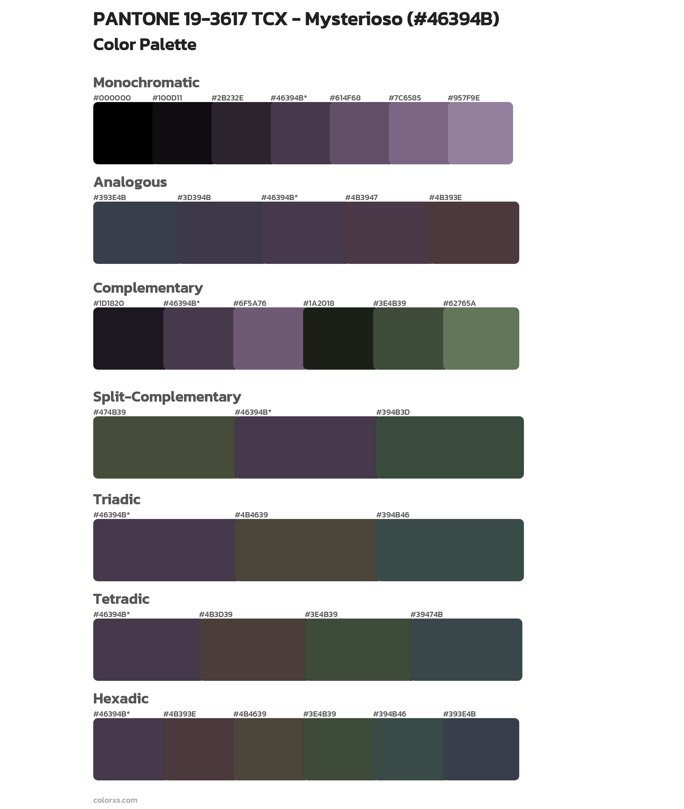 PANTONE 19-3617 TCX - Mysterioso color palettes - colorxs.com
