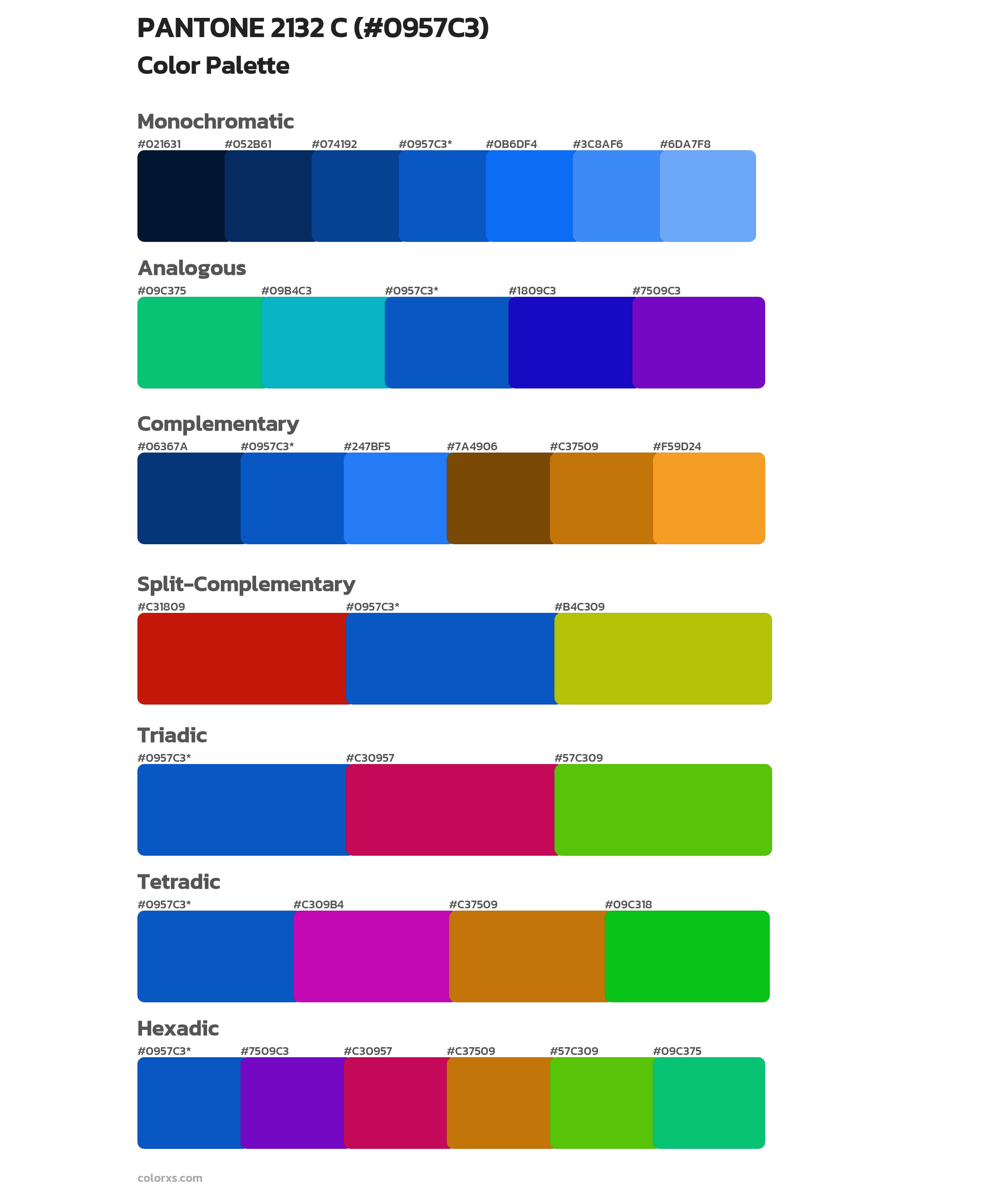 PANTONE 2132 C color palettes - colorxs.com