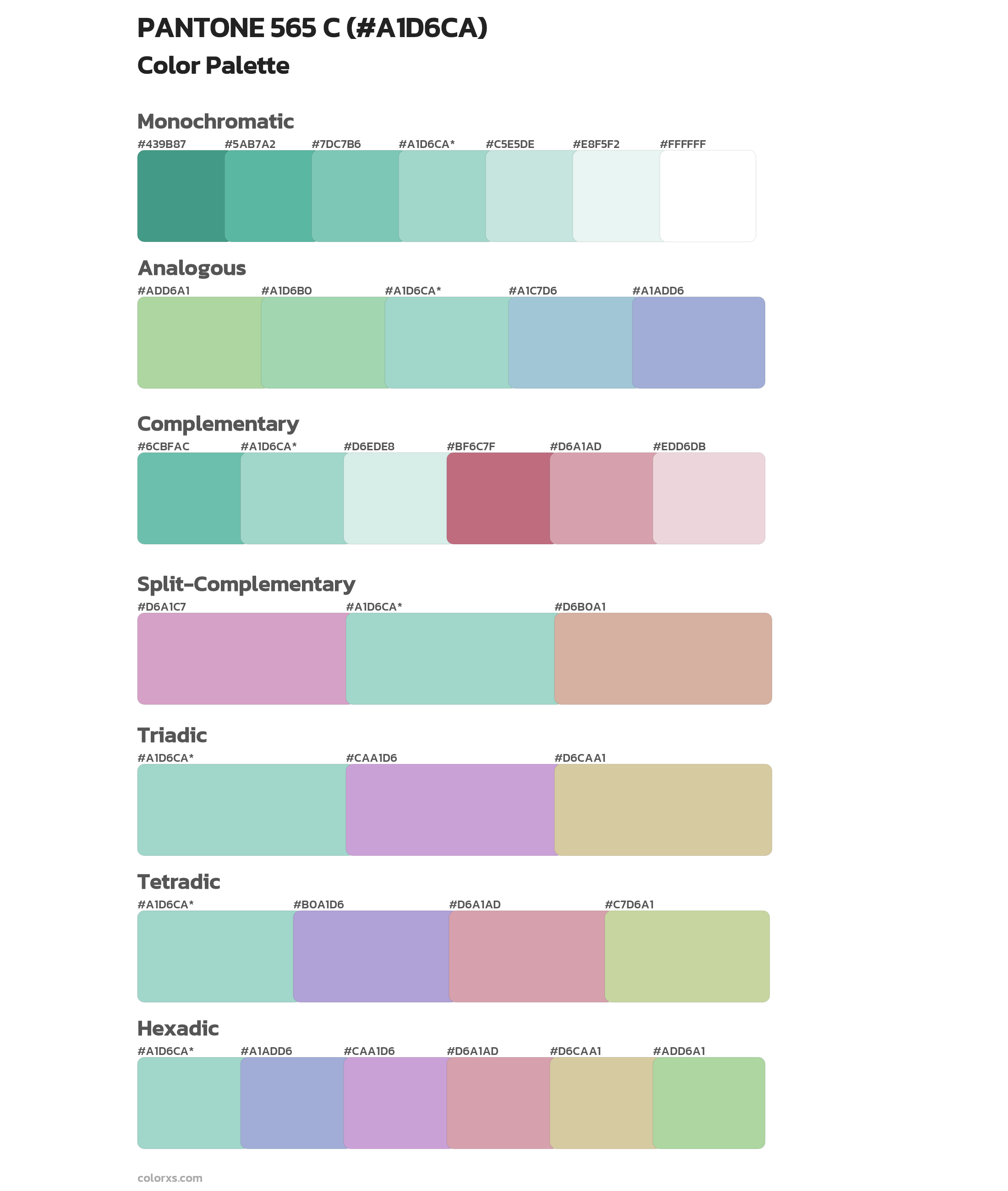 PANTONE 565 C Color Palettes Colorxs PANTONE 565 C Color Palettes Colorxs