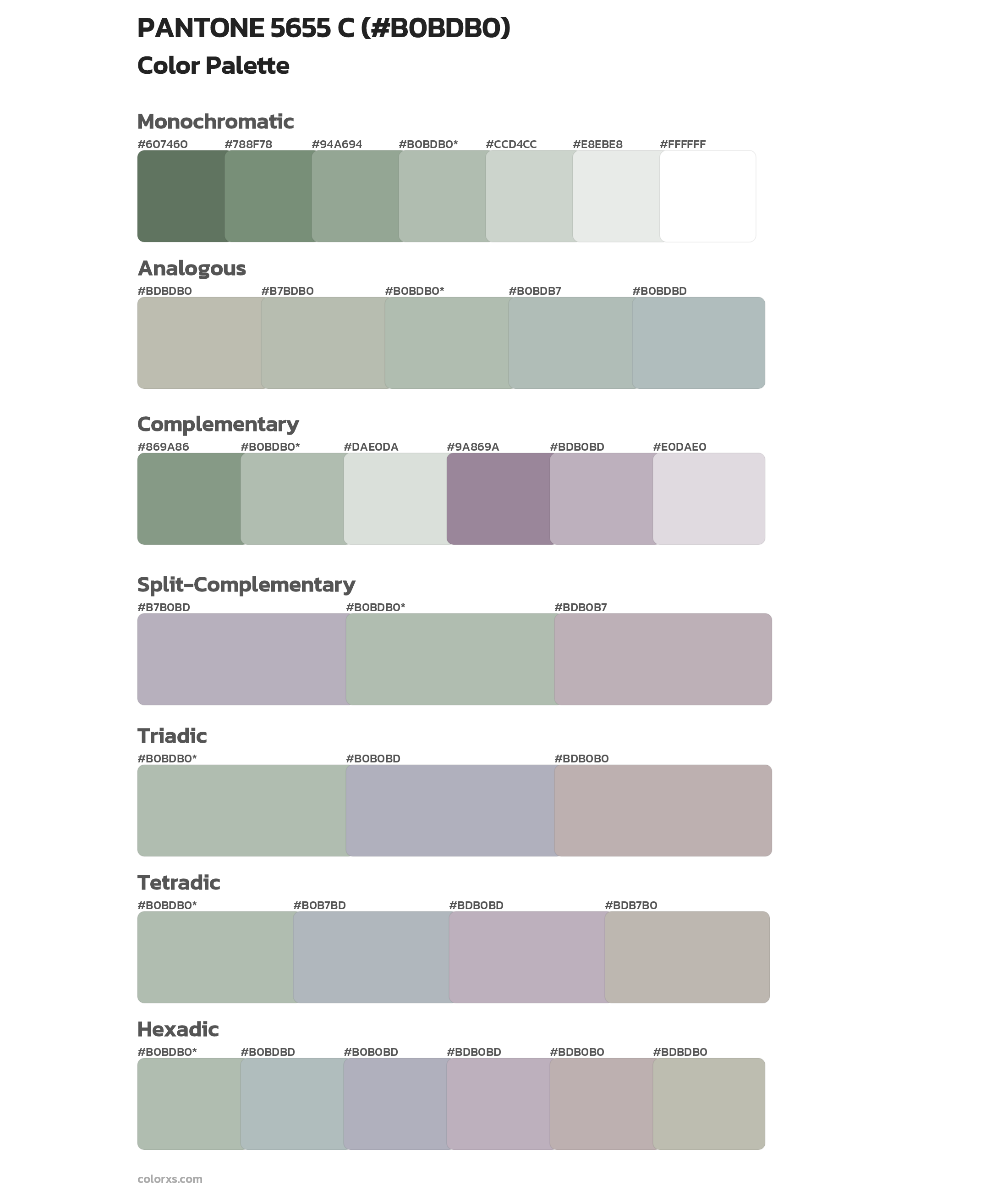 PANTONE 5655 C Color Palettes Colorxs