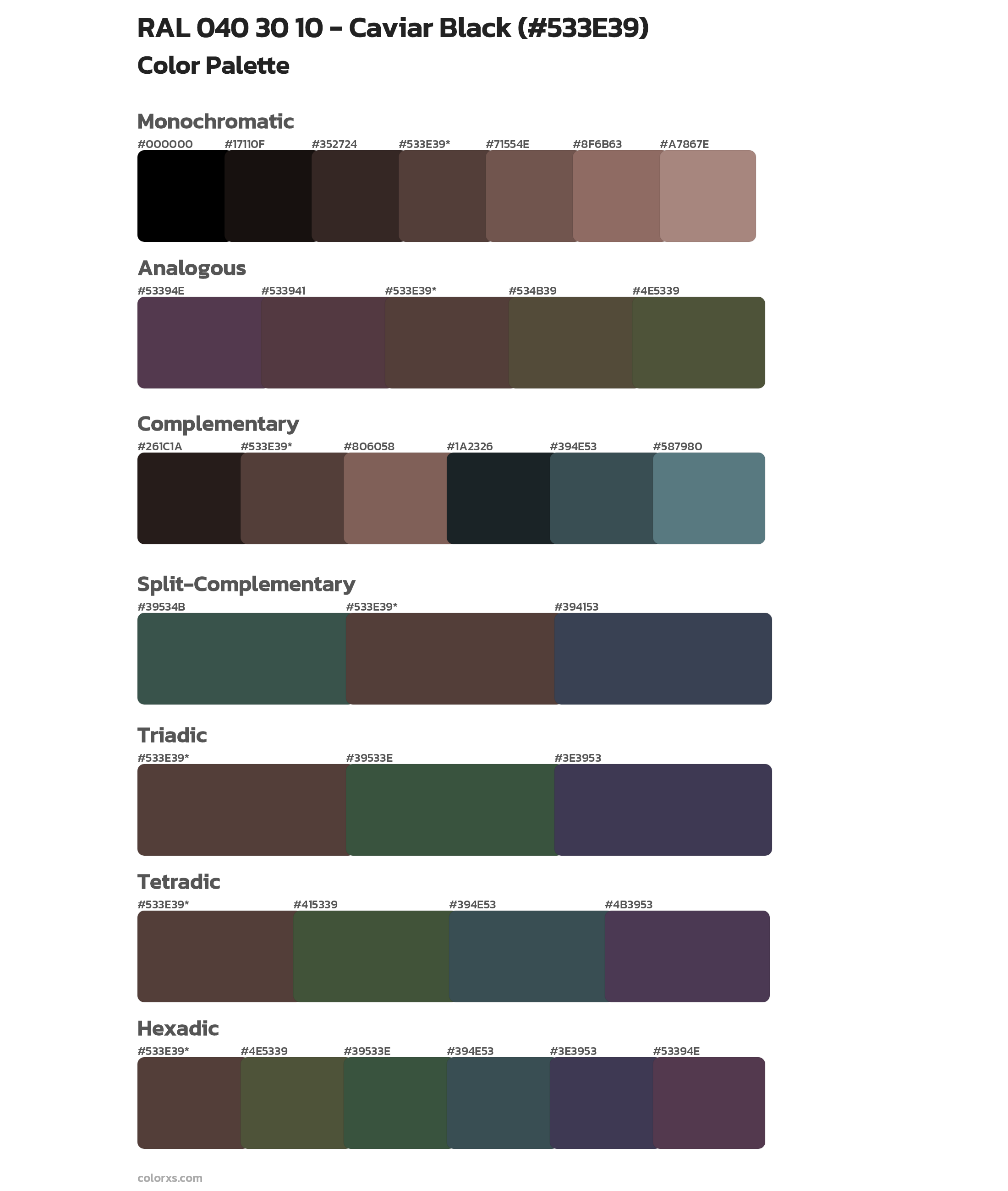 RAL 040 30 10 - Caviar Black color palettes - colorxs.com
