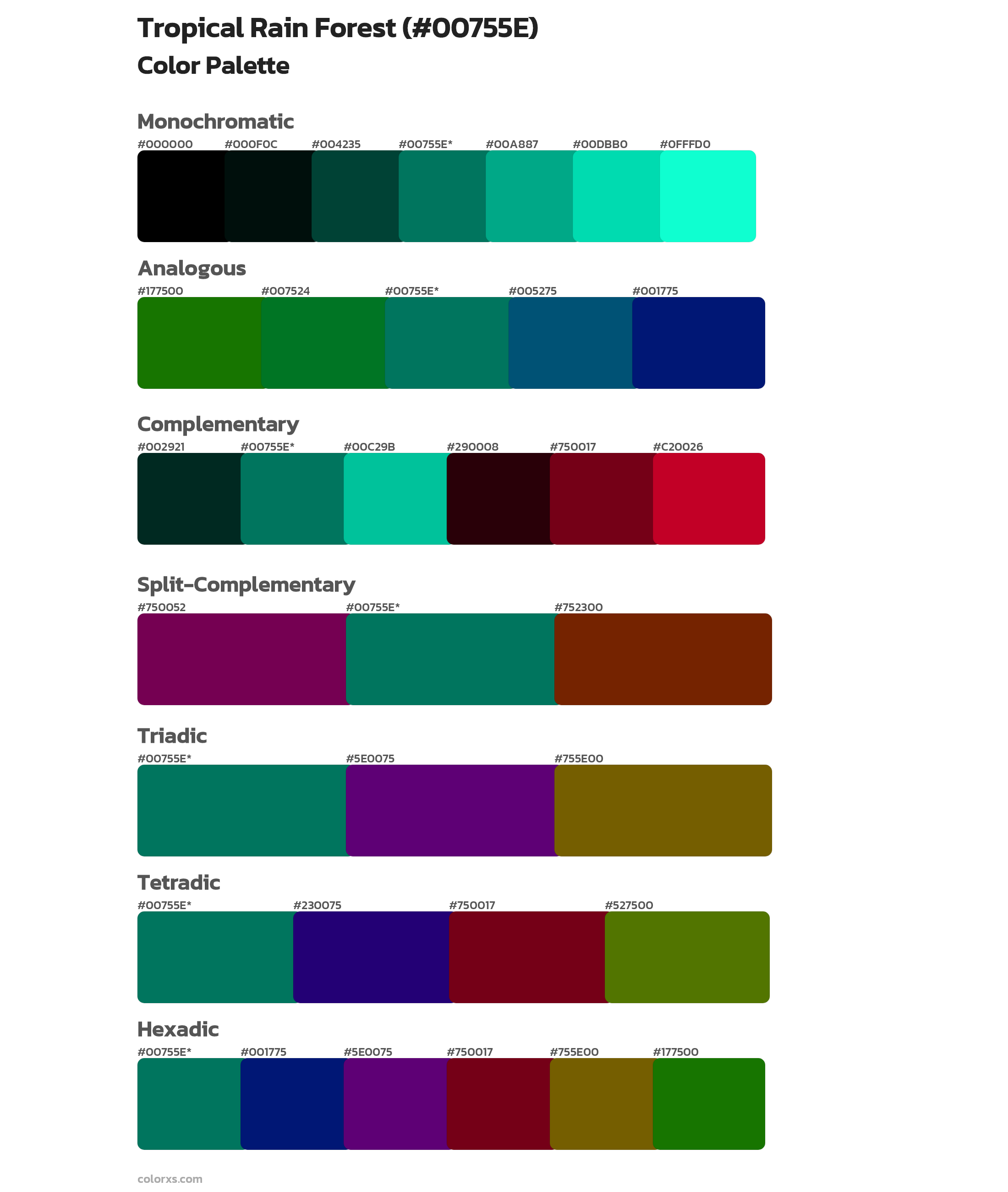 Tropical Rain Forest color palettes - colorxs.com