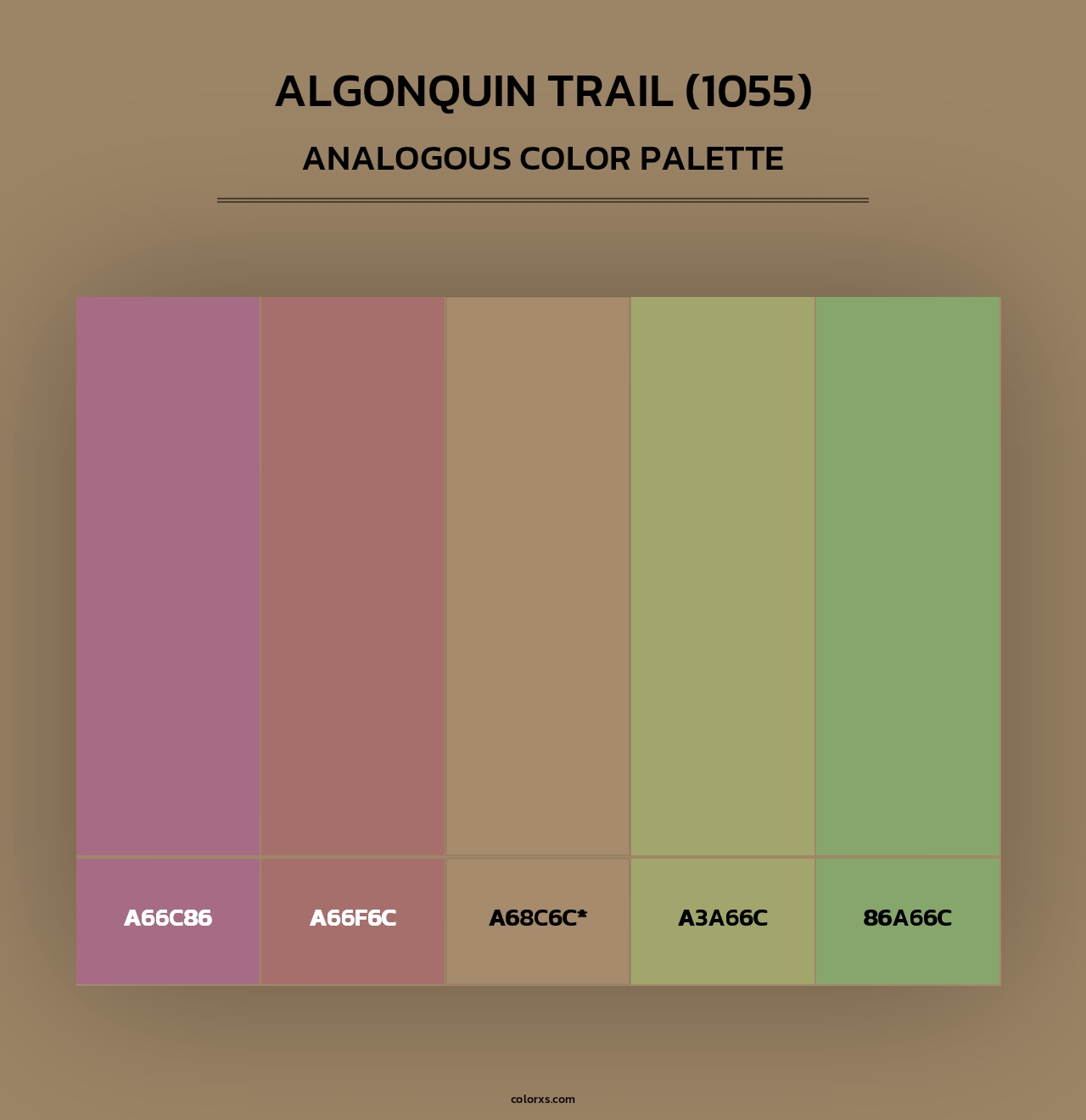 Benjamin Moore Algonquin Trail (1055) Paint coordinating colors and ...