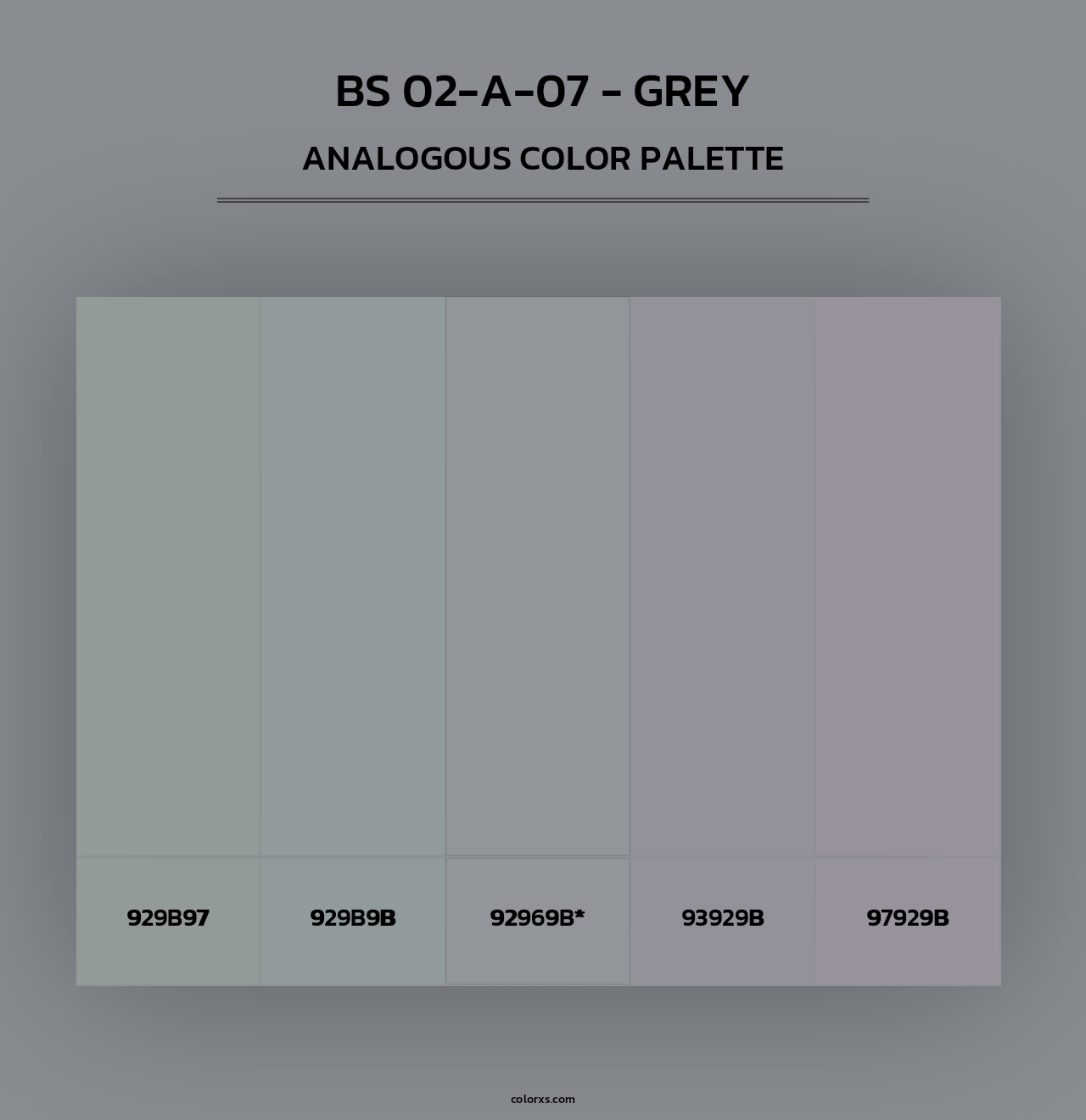 BS 02-A-07 - Grey color palettes - colorxs.com