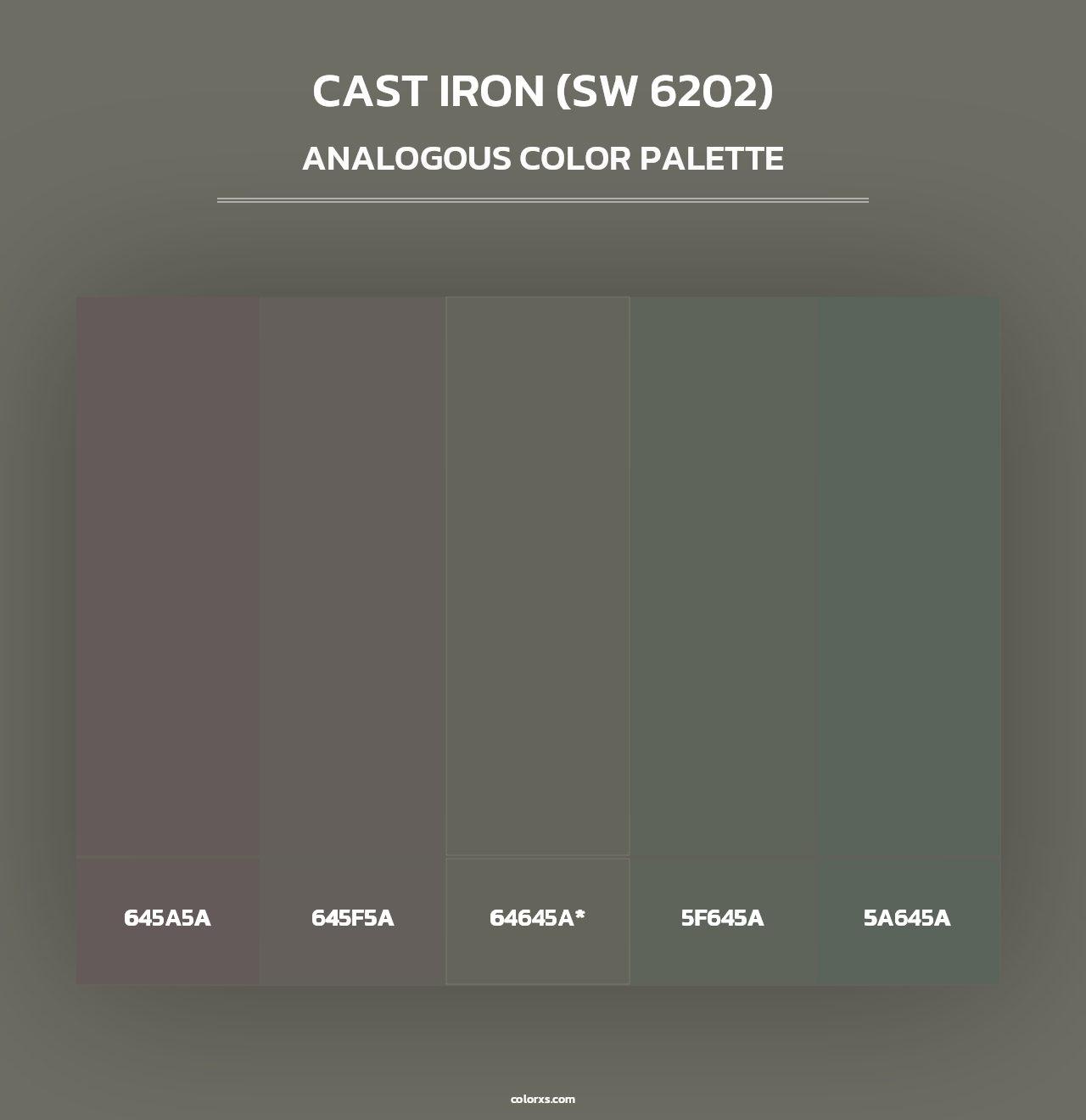Sherwin Williams Cast Iron (SW 6202) Paint coordinating colors and ...