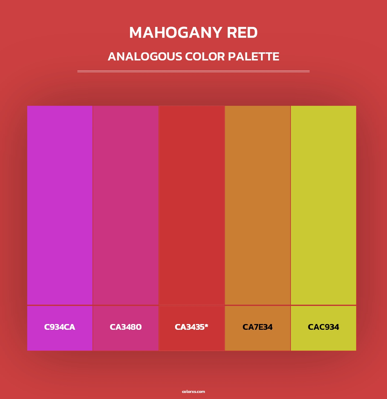 Mahogany Red color palettes - colorxs.com