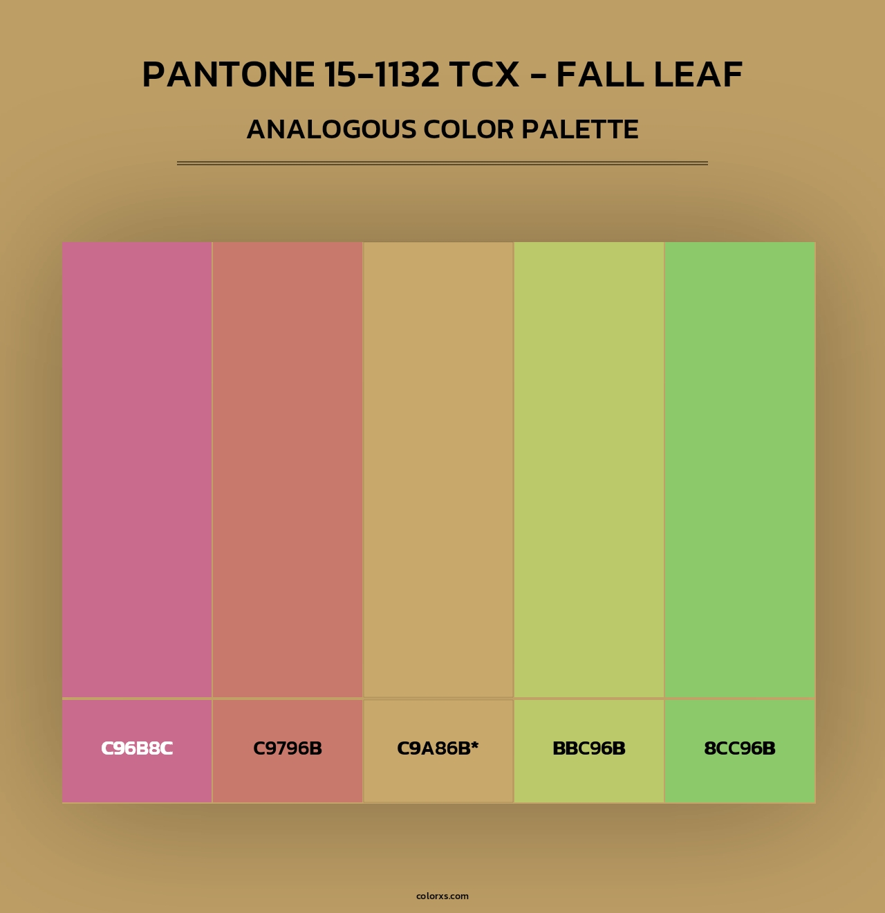 PANTONE 15 1132 TCX Fall Leaf Color Palettes Colorxs
