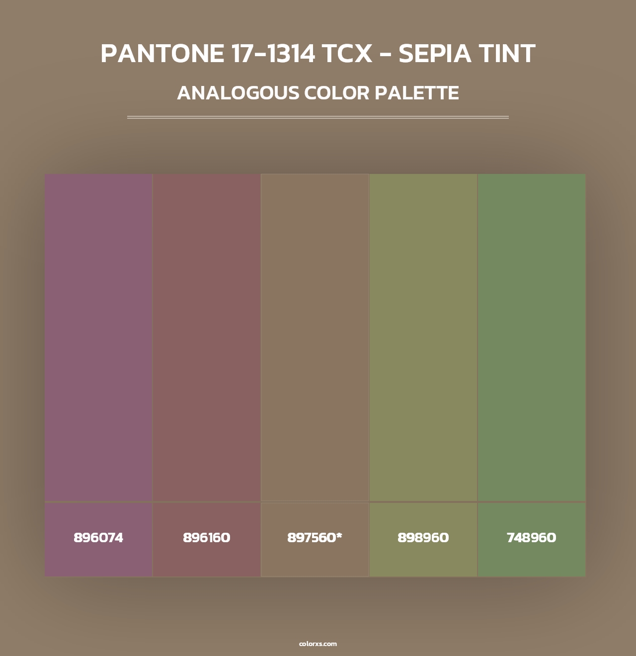 PANTONE 17-1314 TCX - Sepia Tint color palettes - colorxs.com