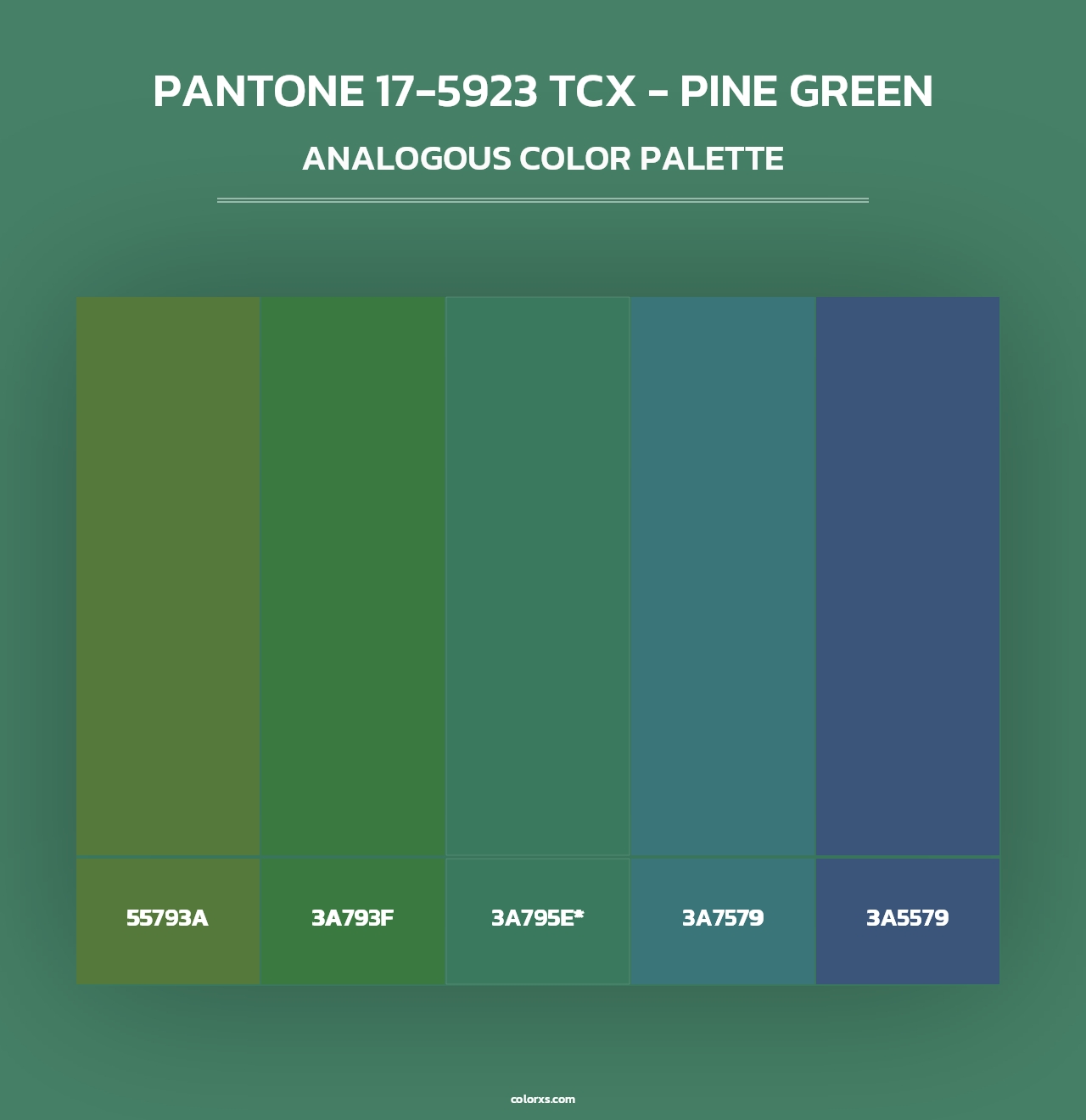 PANTONE 17-5923 TCX - Pine Green color palettes - colorxs.com