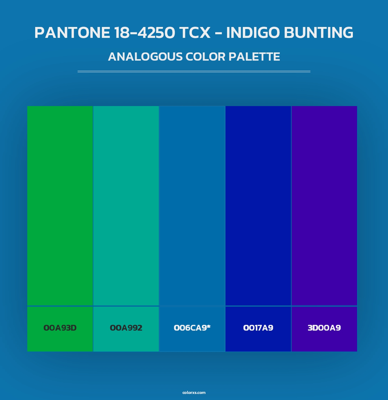 PANTONE 18-4250 TCX - Indigo Bunting color palettes - colorxs.com