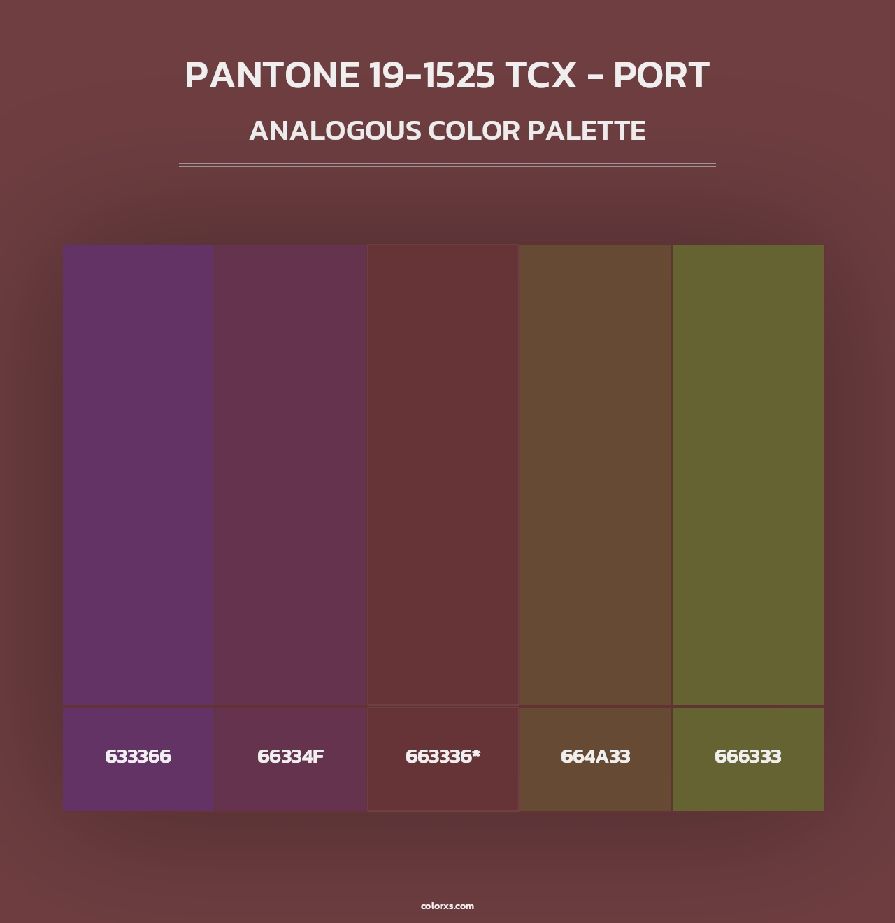 PANTONE 19-1525 TCX - Port color palettes - colorxs.com