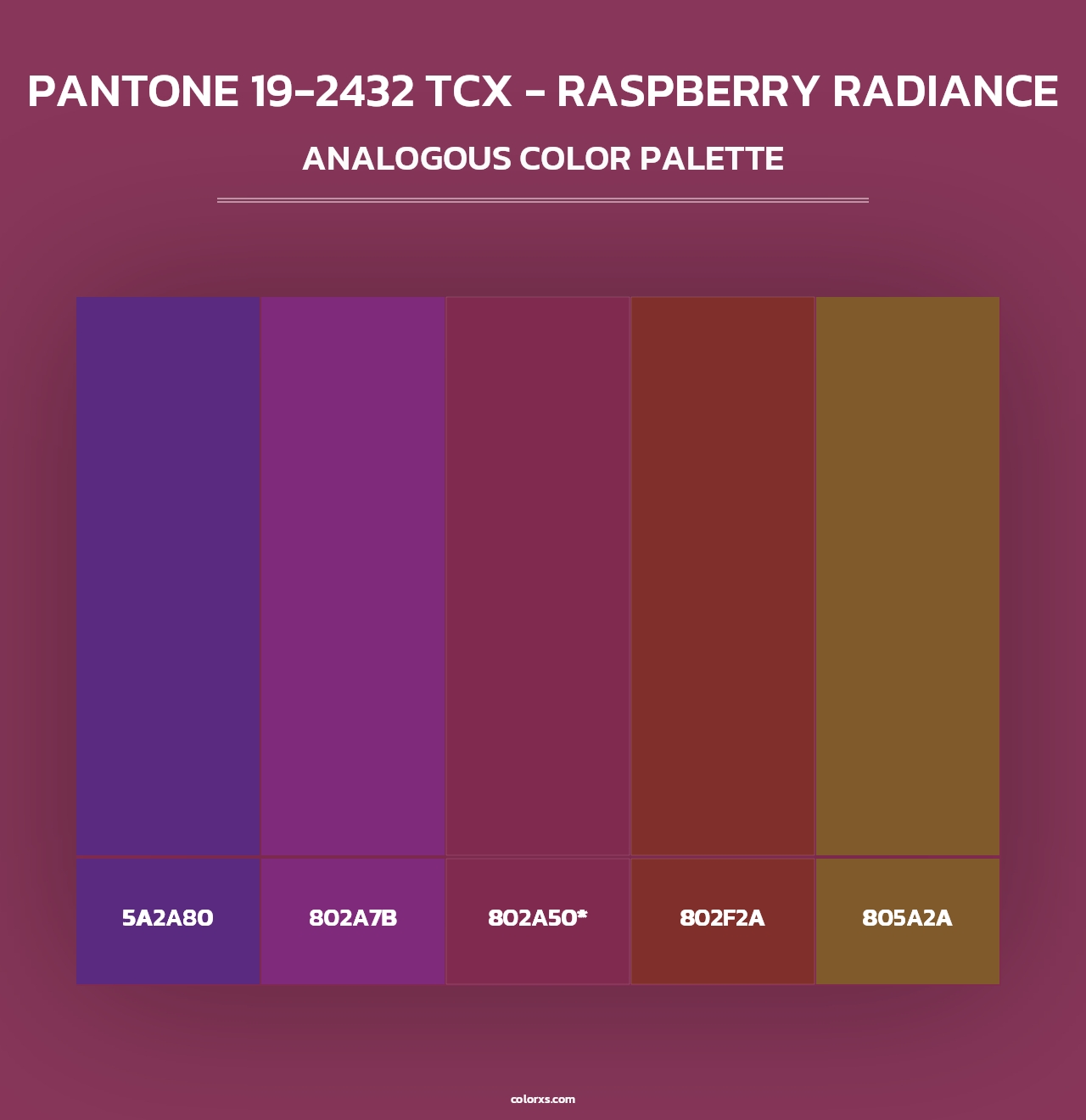 PANTONE 19-2432 TCX - Raspberry Radiance color palettes - colorxs.com