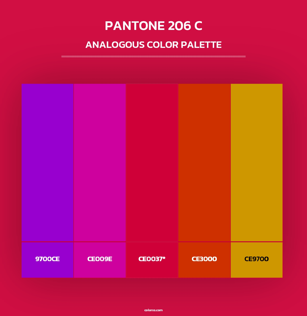 PANTONE 206 C color palettes - colorxs.com