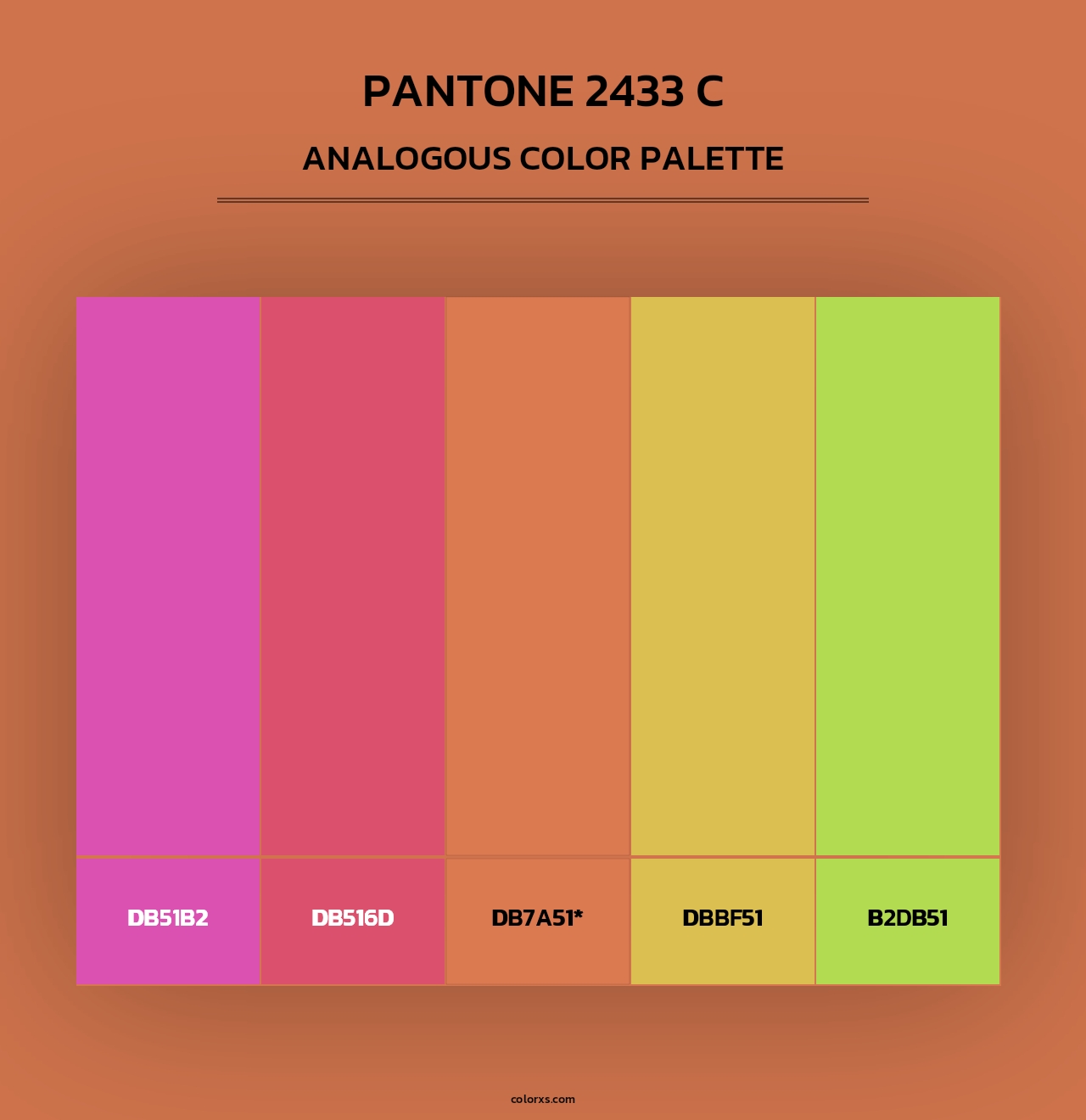 PANTONE 2433 C color palettes - colorxs.com