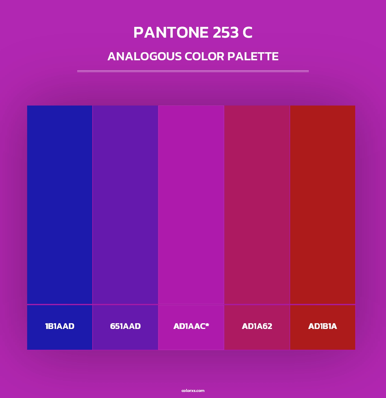 PANTONE 253 C color palettes - colorxs.com