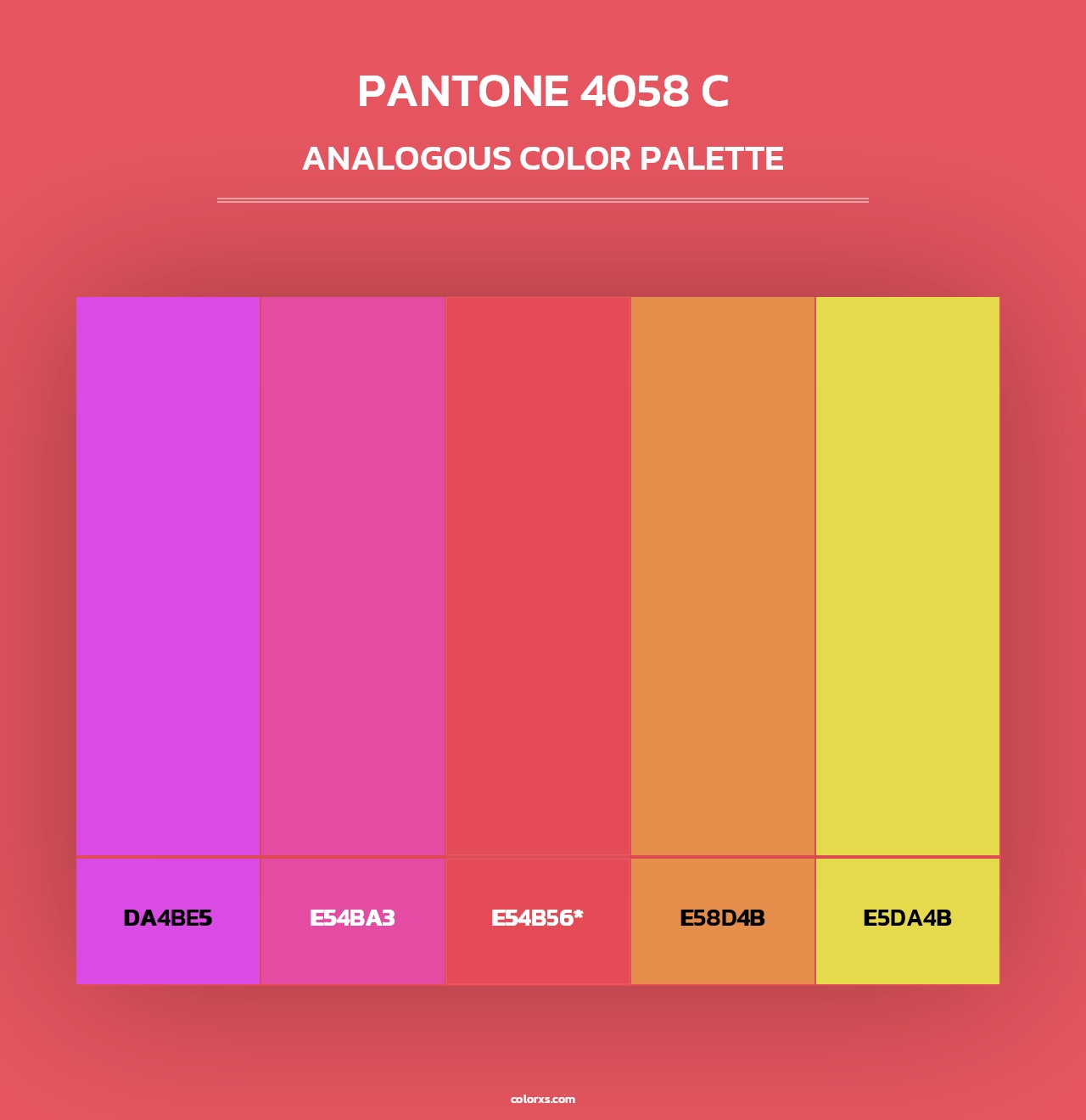 PANTONE 4058 C color palettes - colorxs.com