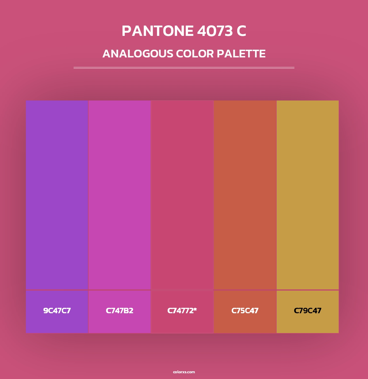 PANTONE 4073 C color palettes - colorxs.com