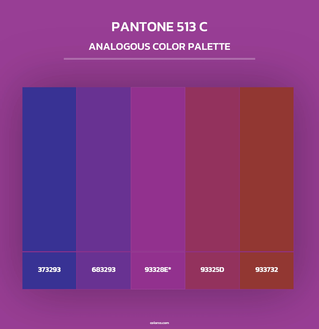 PANTONE 513 C color palettes - colorxs.com