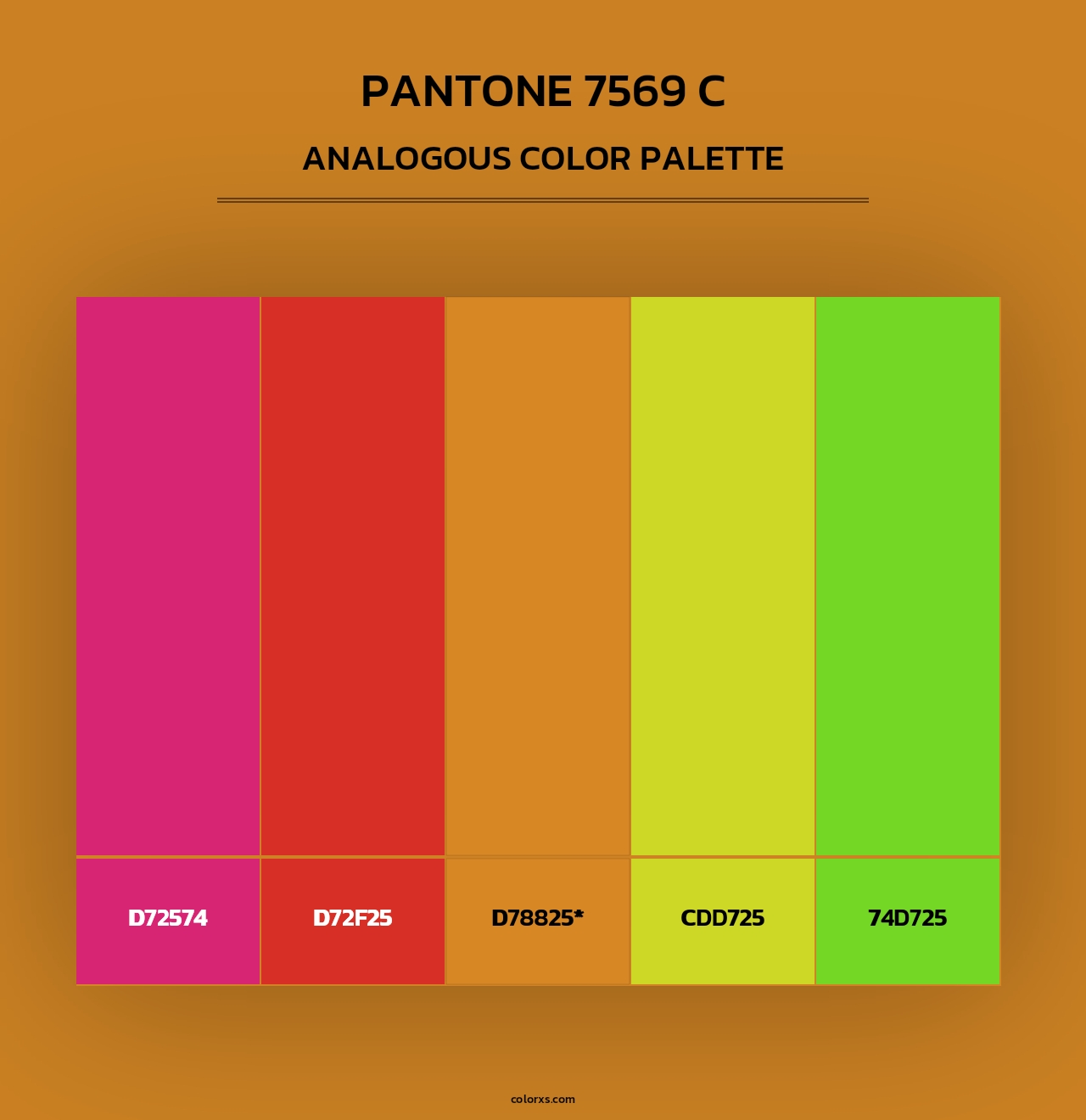 PANTONE 7569 C color palettes - colorxs.com