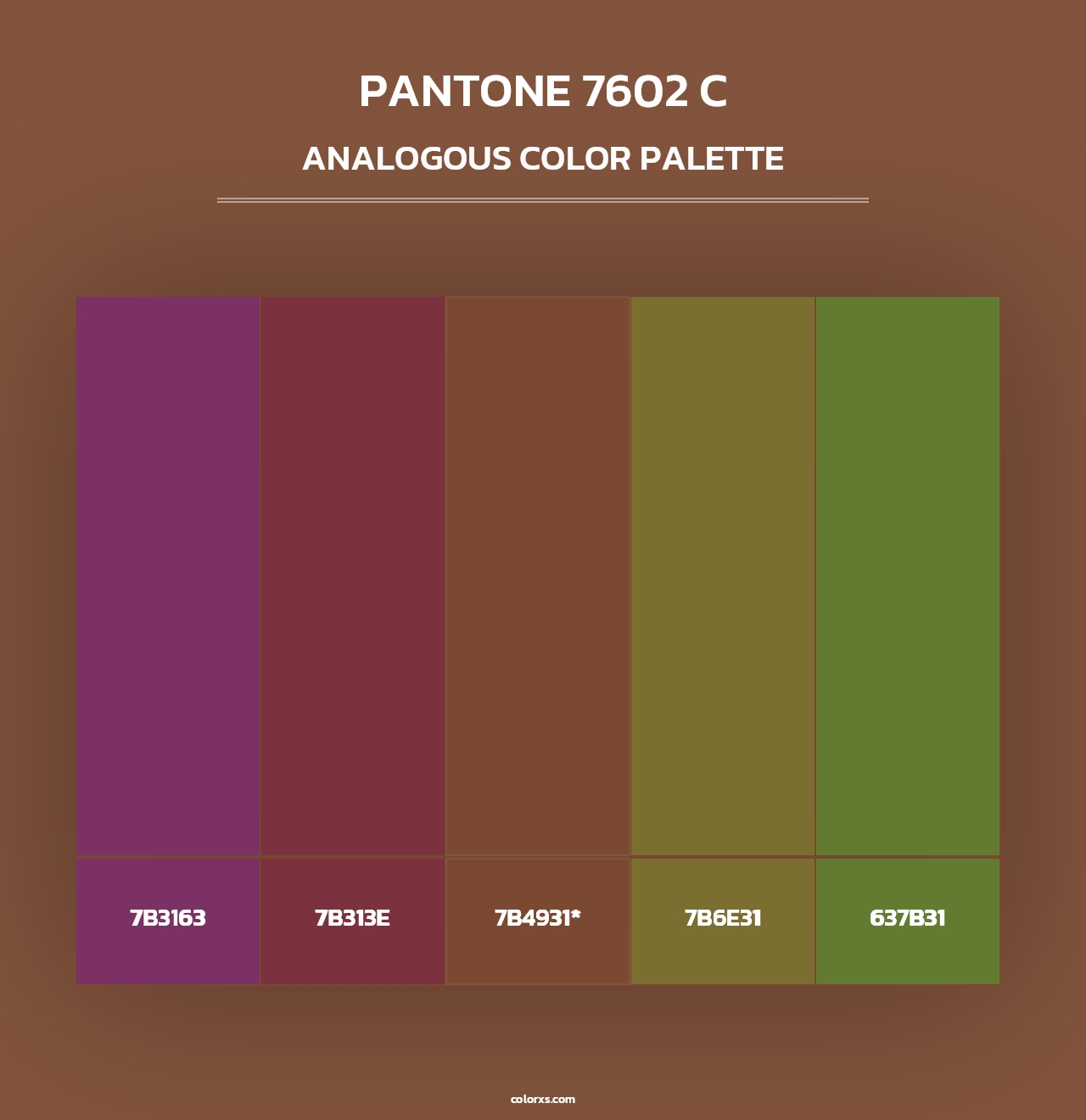 PANTONE 7602 C color palettes - colorxs.com