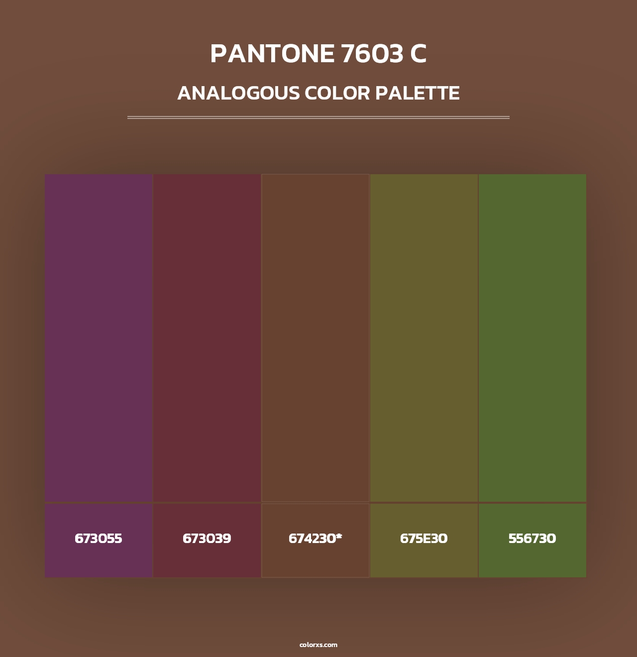 PANTONE 7603 C color palettes - colorxs.com