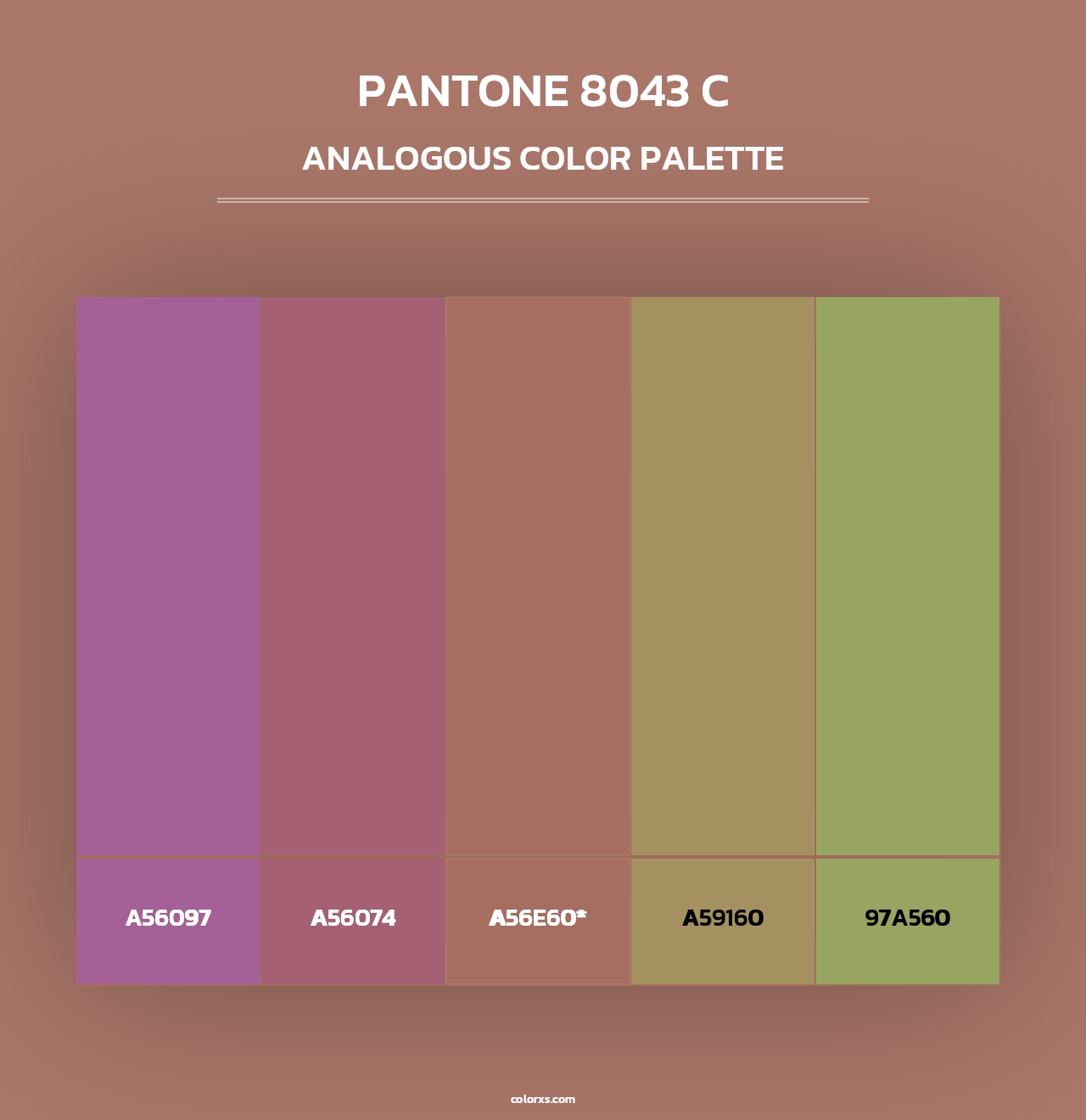 PANTONE 8043 C color palettes - colorxs.com