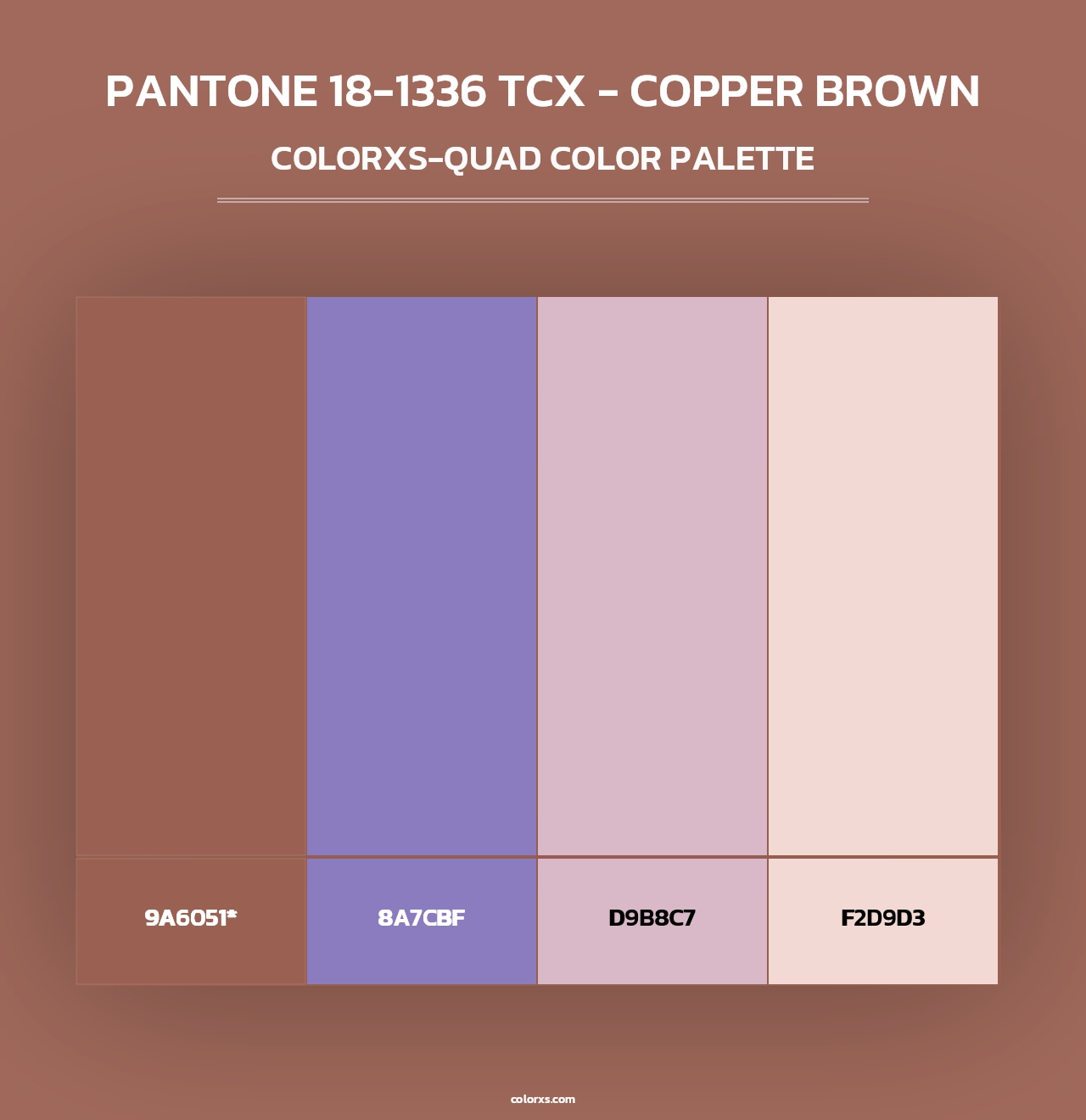 PANTONE 18-1336 TCX - Copper Brown color palettes - colorxs.com