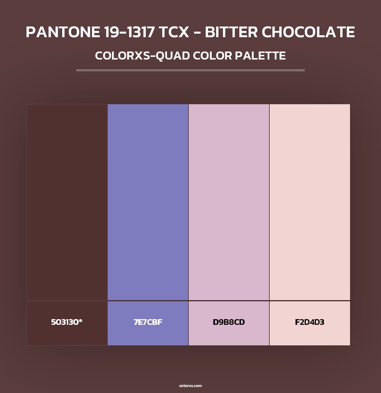 PANTONE 19-1317 TCX - Bitter Chocolate color palettes - colorxs.com