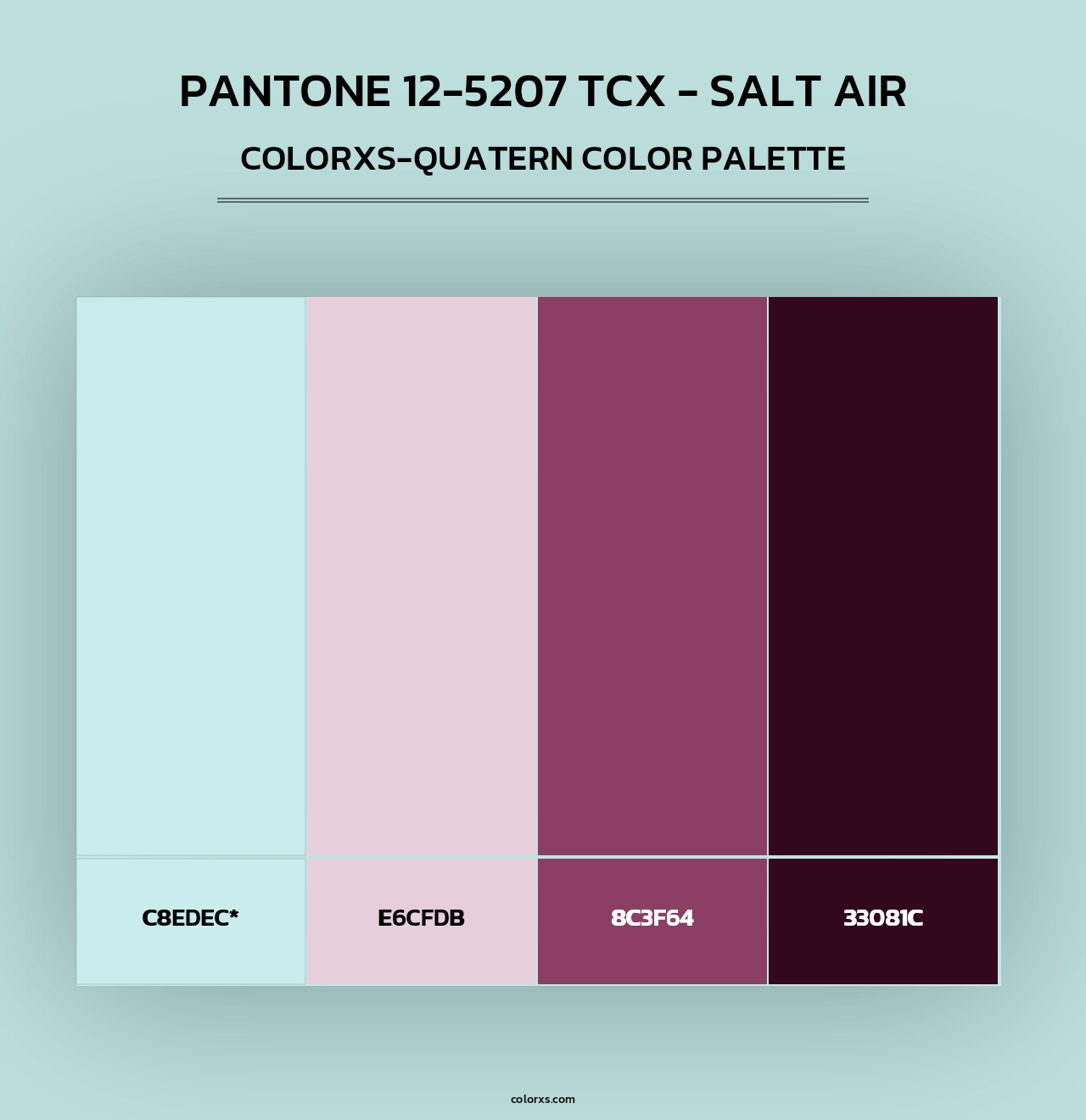 PANTONE 12-5207 TCX - Salt Air color palettes - colorxs.com