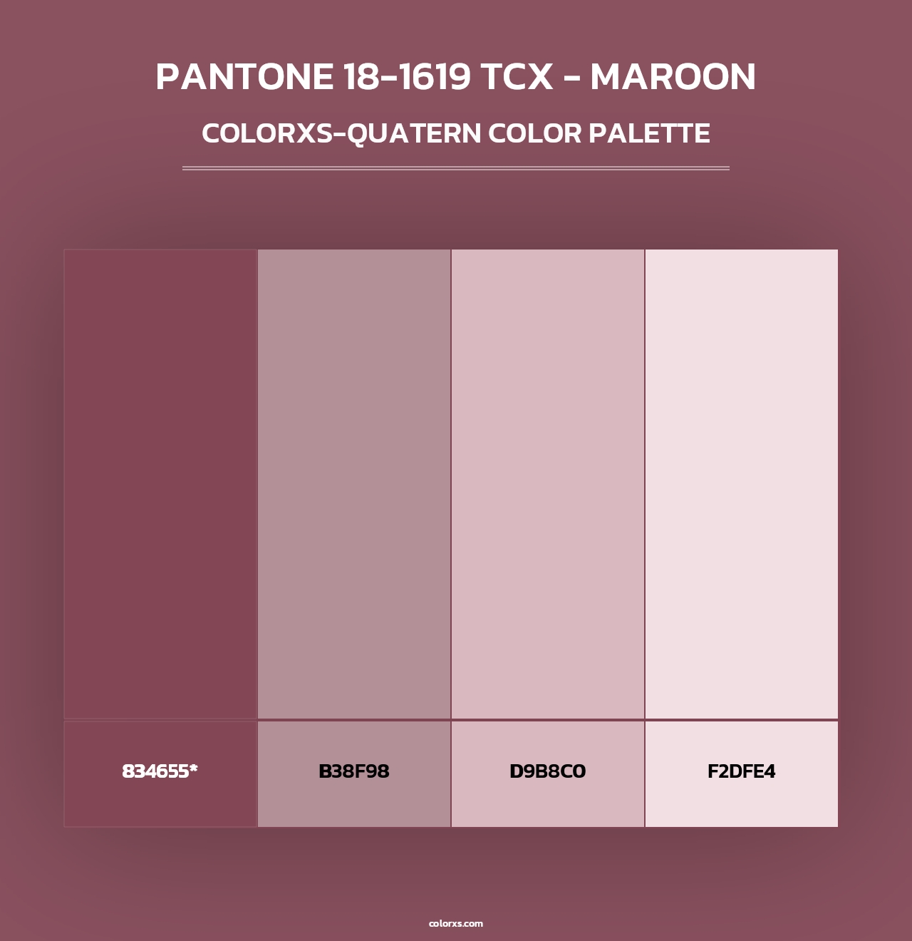 PANTONE 18-1619 TCX - Maroon color palettes - colorxs.com