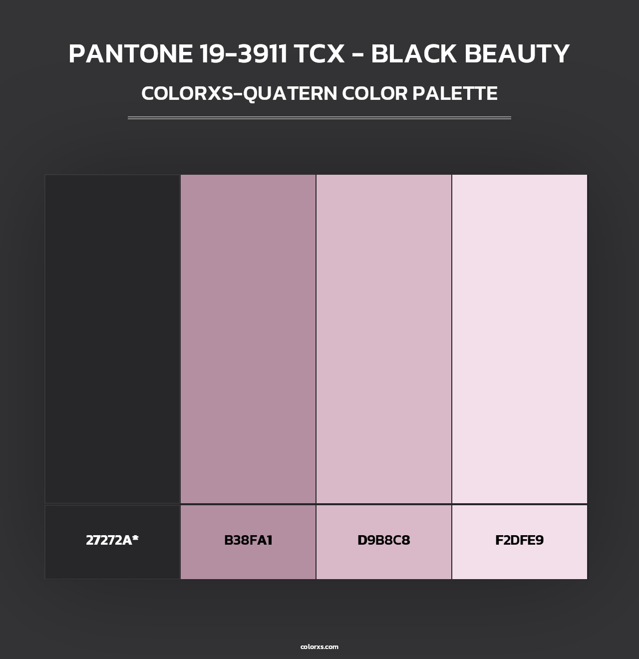 PANTONE 19-3911 TCX - Black Beauty color palettes - colorxs.com