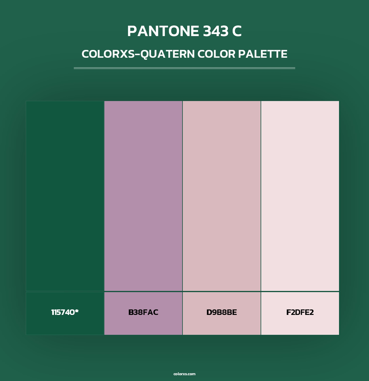 PANTONE 343 C color palettes - colorxs.com
