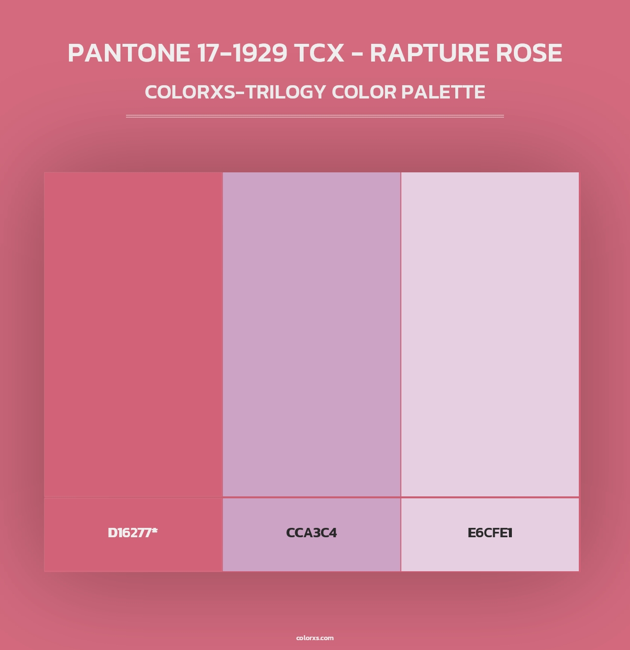 PANTONE 17-1929 TCX - Rapture Rose color palettes - colorxs.com