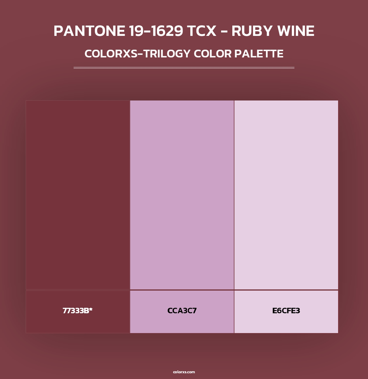 PANTONE 19-1629 TCX - Ruby Wine color palettes - colorxs.com