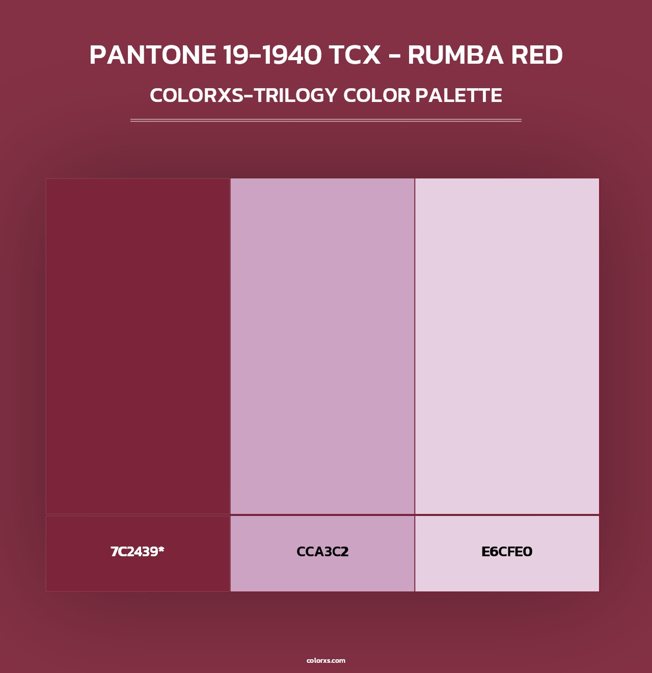 PANTONE 19-1940 TCX - Rumba Red color palettes - colorxs.com