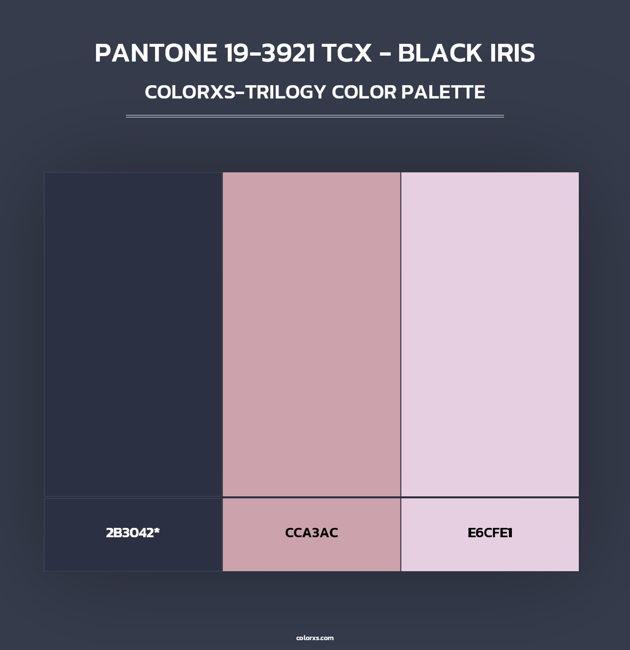 PANTONE 19-3921 TCX - Black Iris color palettes - colorxs.com
