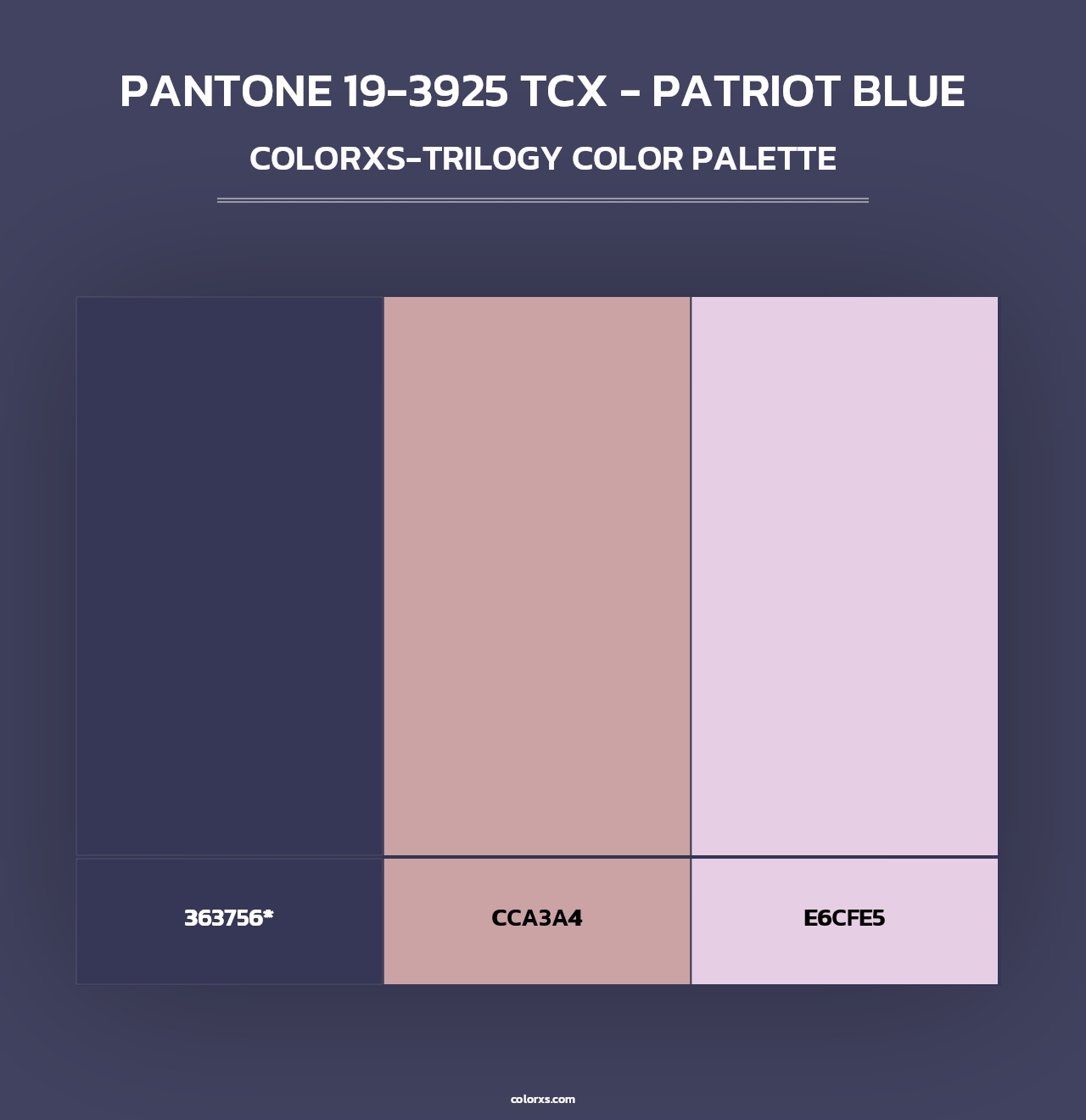 PANTONE 19-3925 TCX - Patriot Blue color palettes - colorxs.com