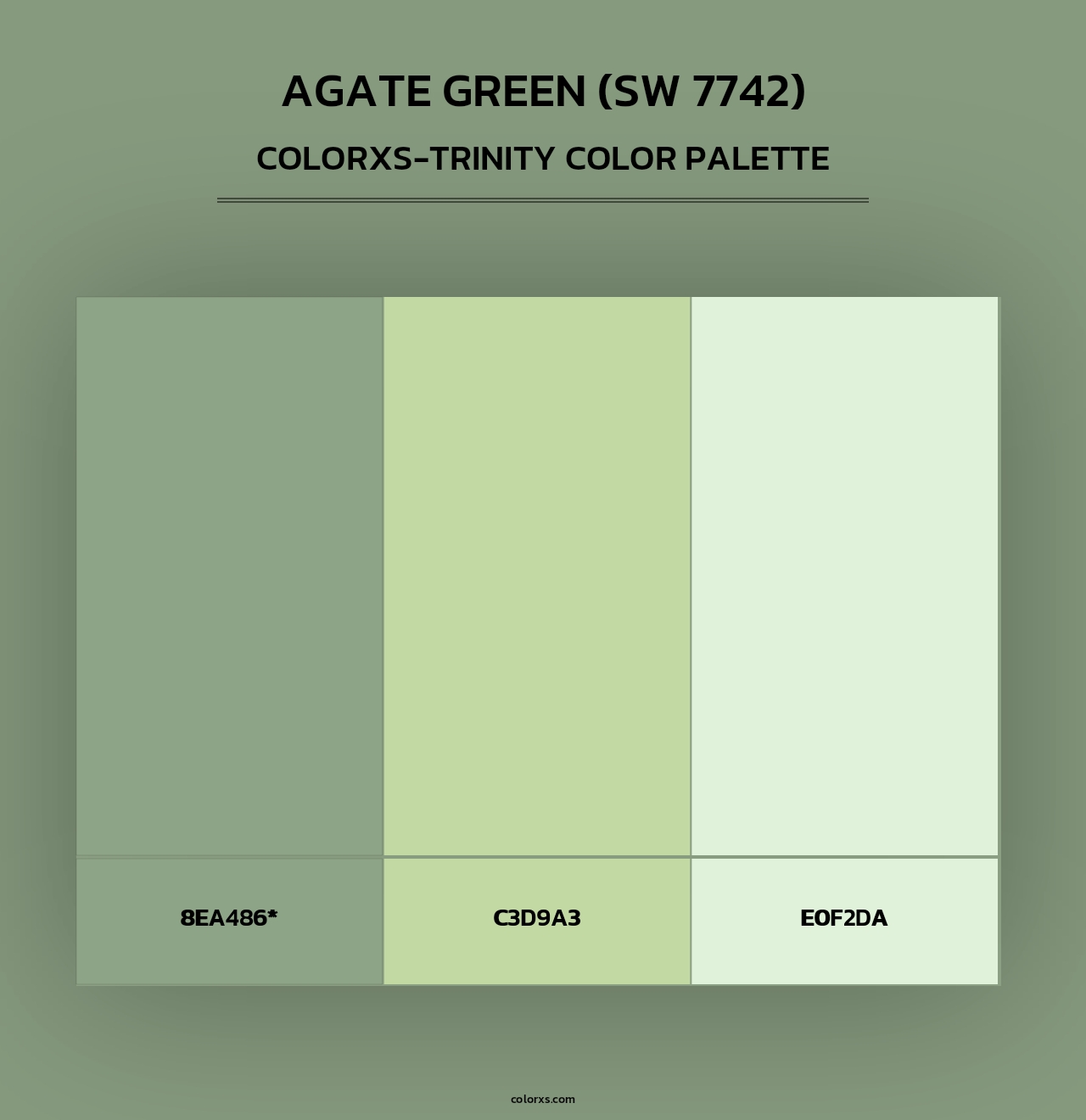 Sherwin Williams Agate Green (SW 7742) Paint coordinating colors and ...