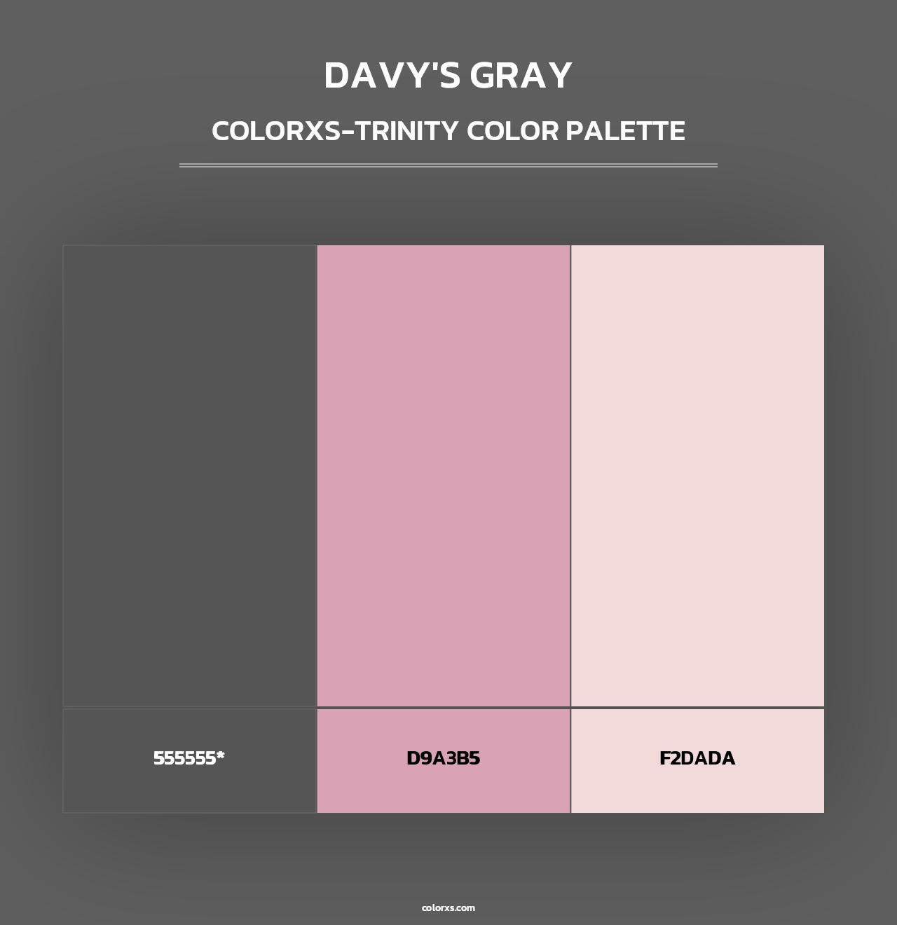 Davy's gray color palettes - colorxs.com
