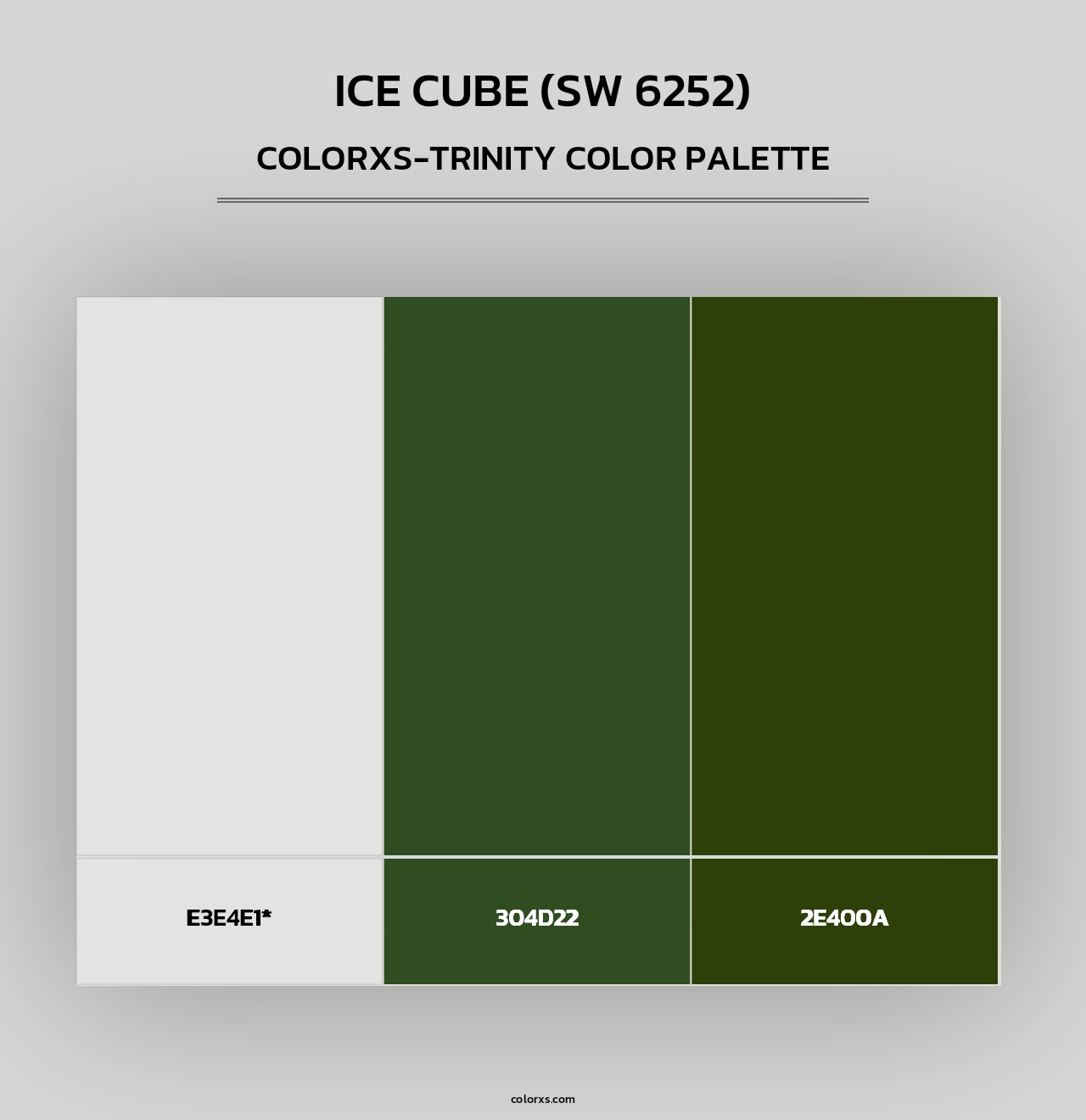Sherwin Williams Ice Cube (SW 6252) Paint coordinating colors and ...