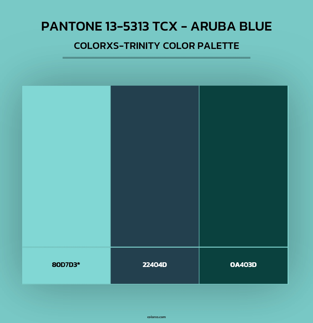 PANTONE 13-5313 TCX - Aruba Blue color palettes - colorxs.com