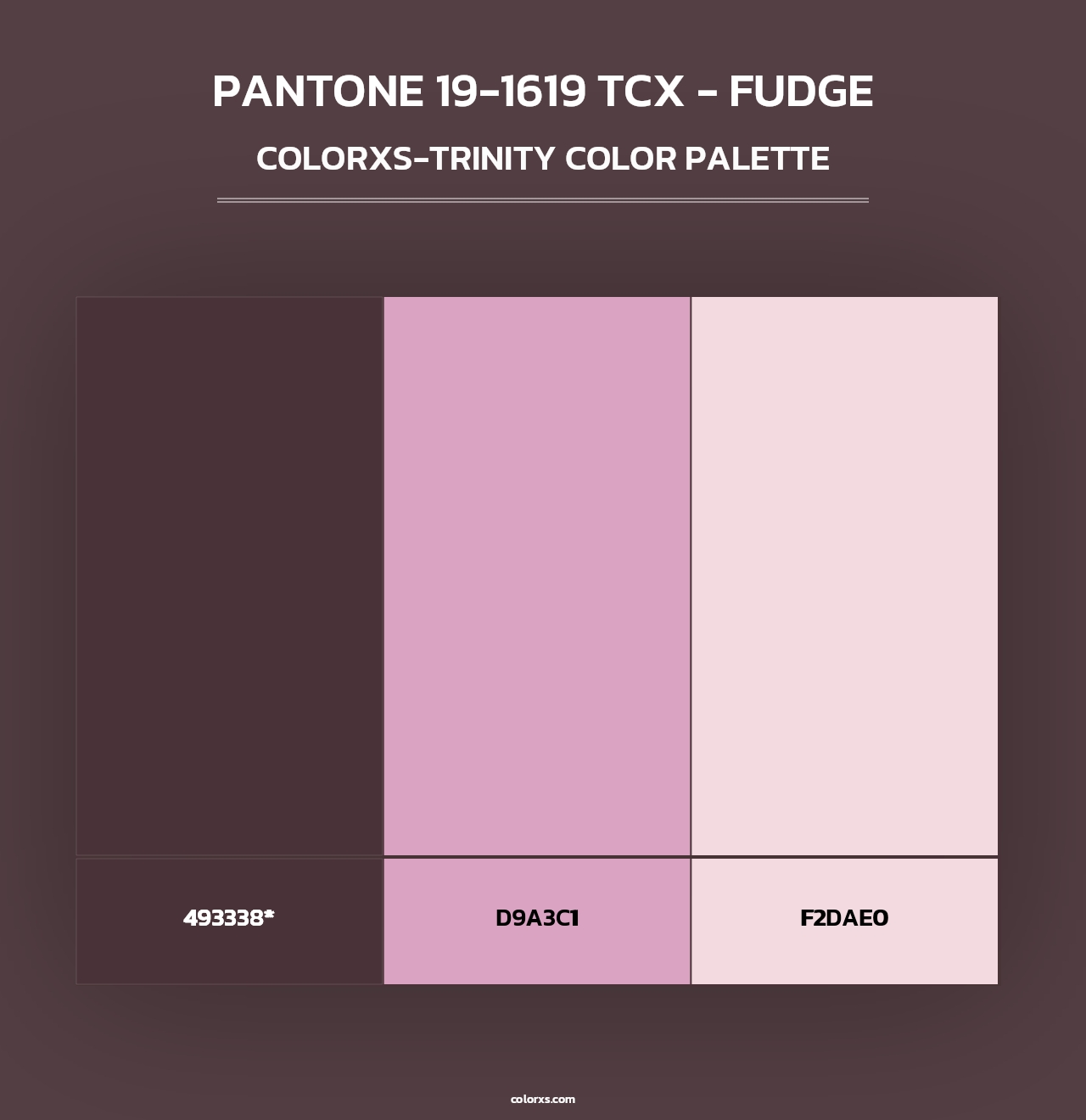 PANTONE 19-1619 TCX - Fudge color palettes - colorxs.com