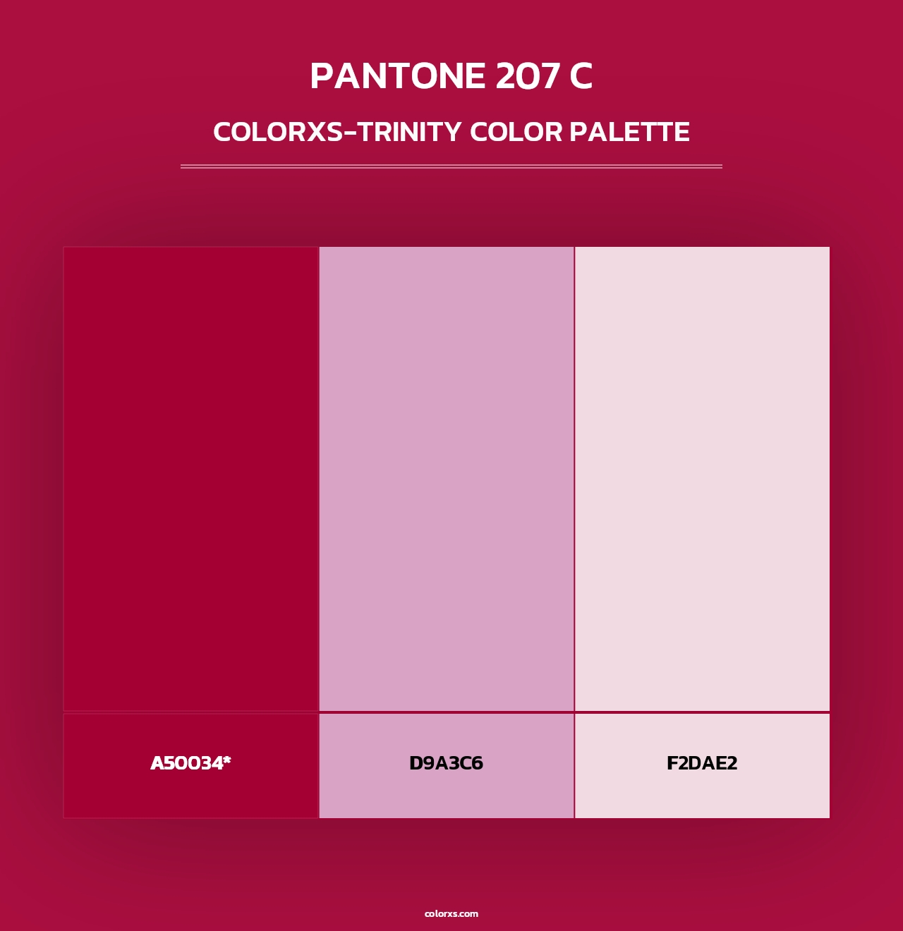 PANTONE 207 C color palettes - colorxs.com
