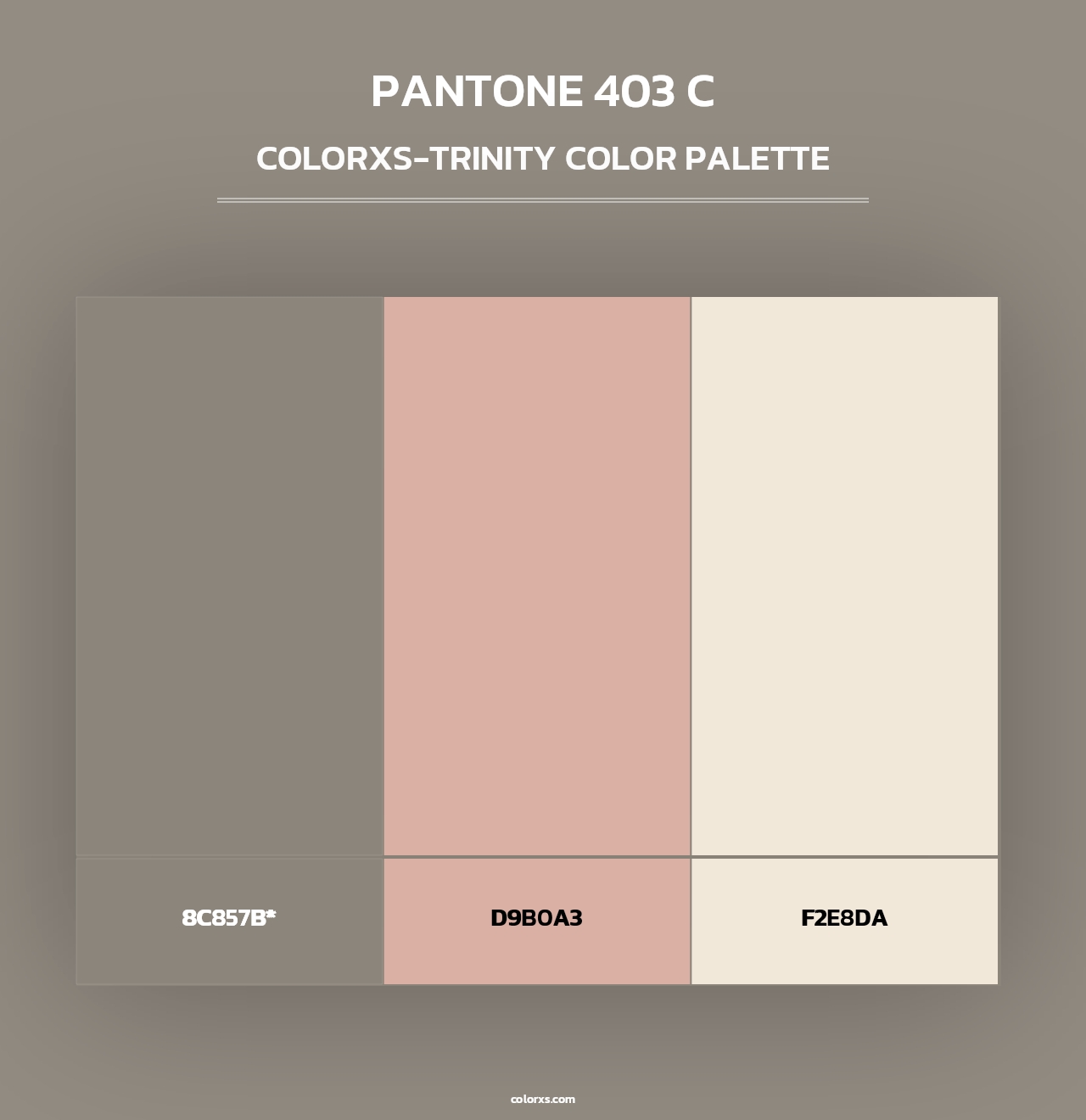 PANTONE 403 C color palettes - colorxs.com