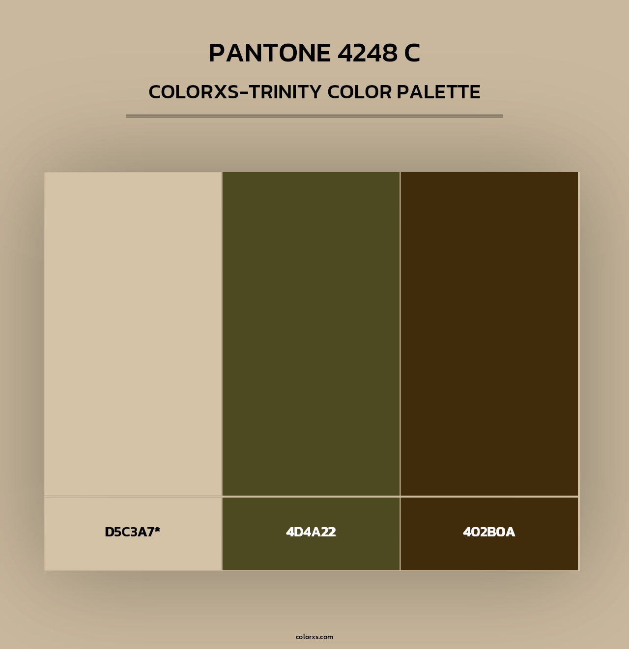 PANTONE 4248 C color palettes - colorxs.com
