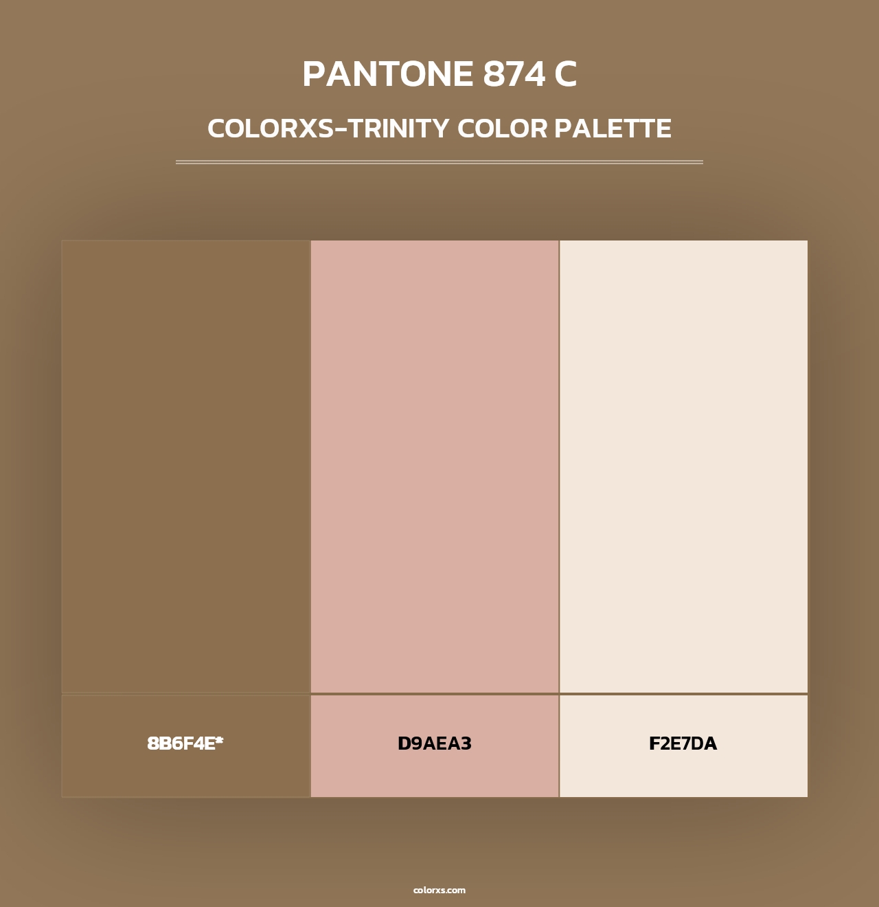 PANTONE 874 C color palettes - colorxs.com