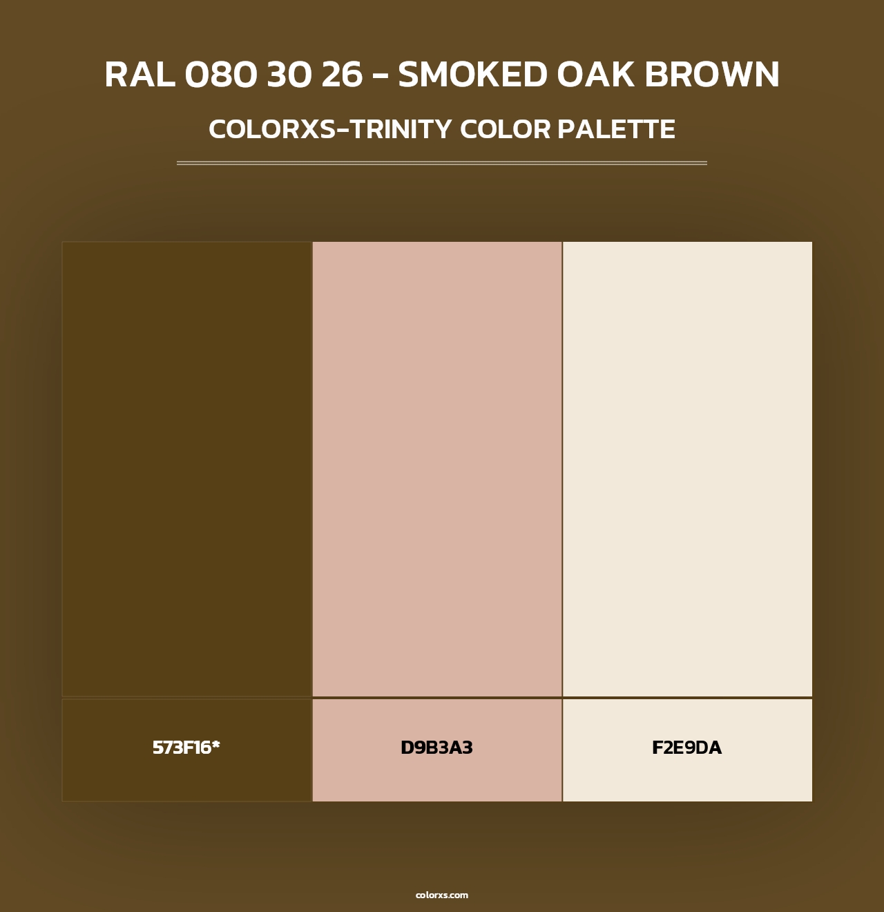 RAL 080 30 26 - Smoked Oak Brown color palettes - colorxs.com