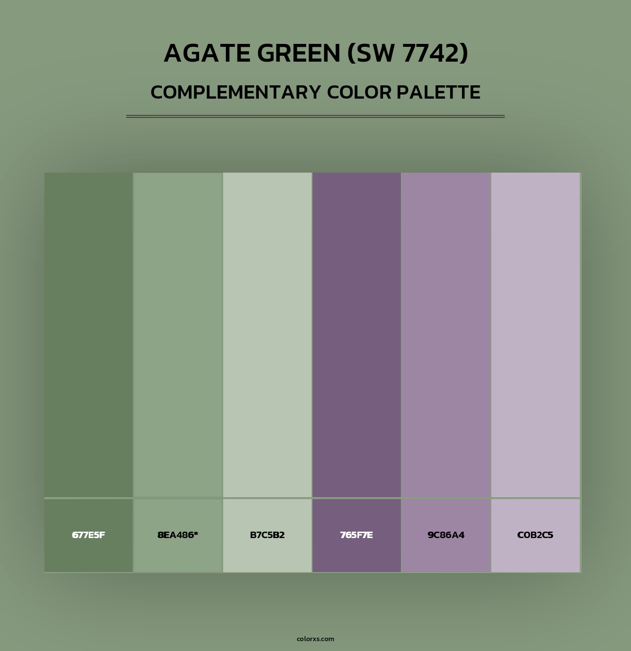 Sherwin Williams Agate Green (SW 7742) Paint coordinating colors and ...